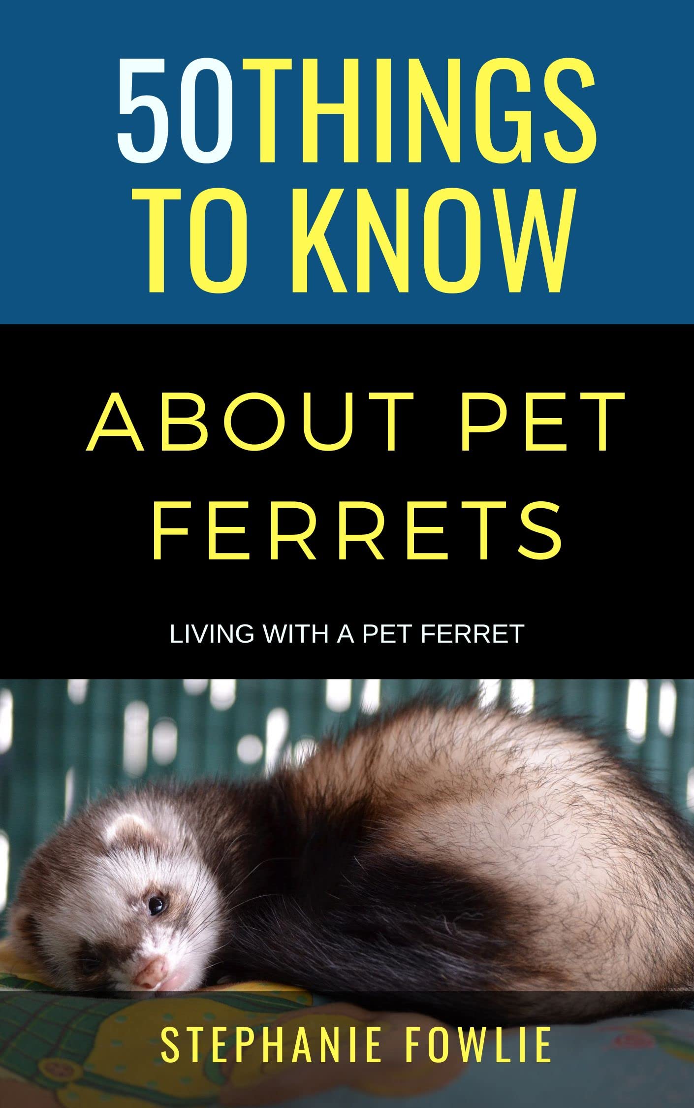 50 Things to Know About Pet Ferrets : Living with a Pet Ferret by ...