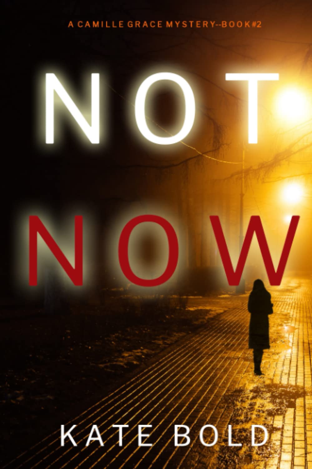 Not Now (A Camille Grace FBI Suspense Thriller—Book 2) by Kate Bold | Goodreads