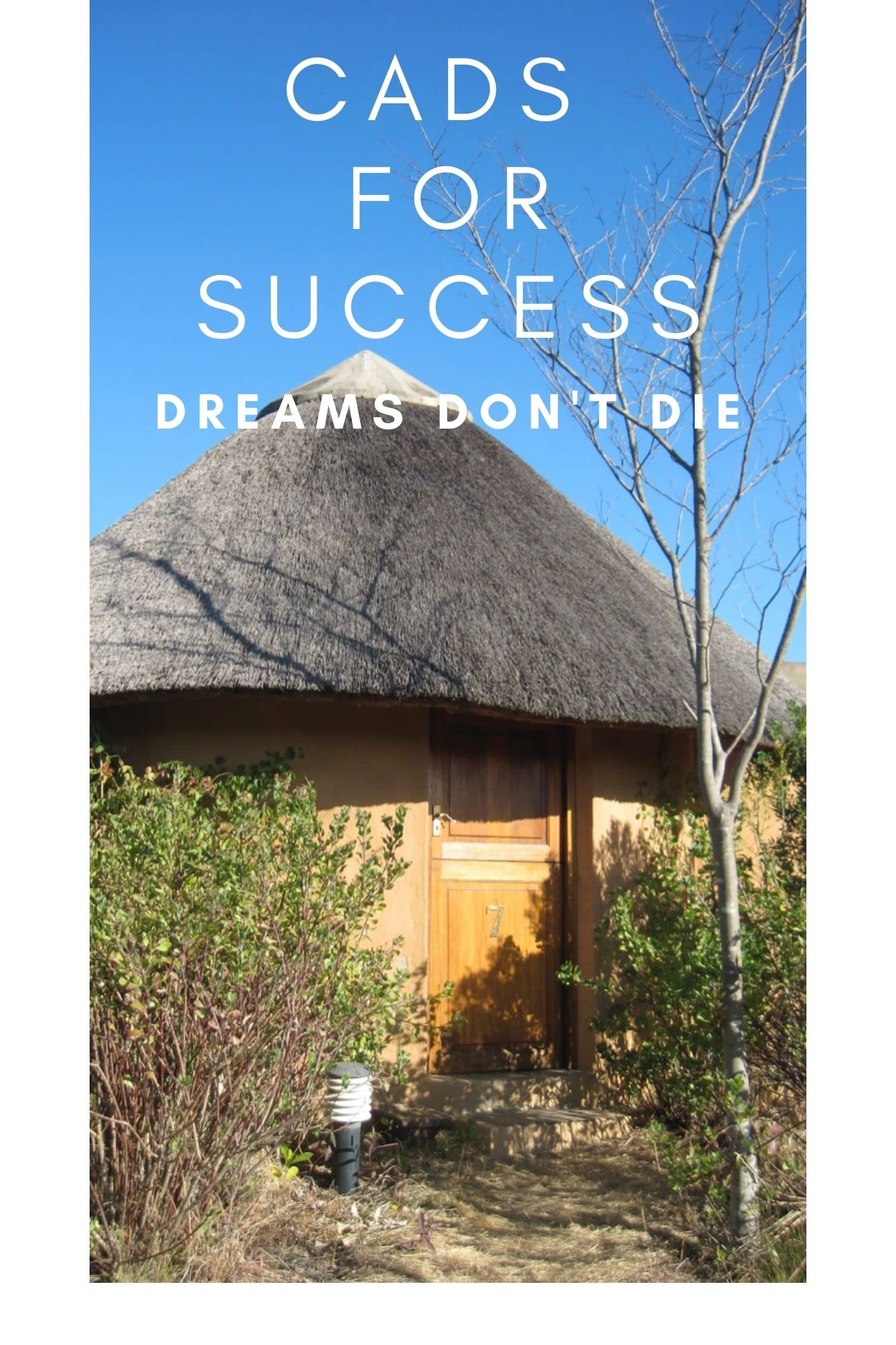 Cads for Success: Dreams Don't Die by Charu Uppal | Goodreads