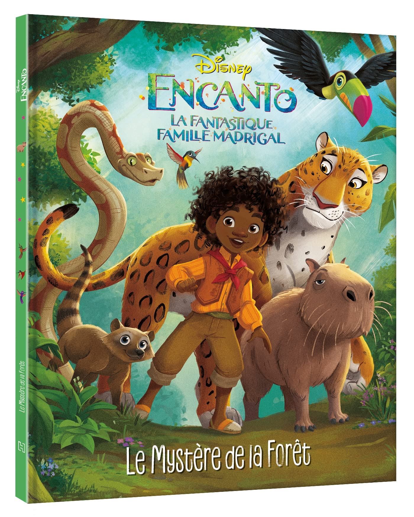 ENCANTO, LA FANTASTIQUE FAMILLE MADRIGAL - Hors-série - Le mystère de ...