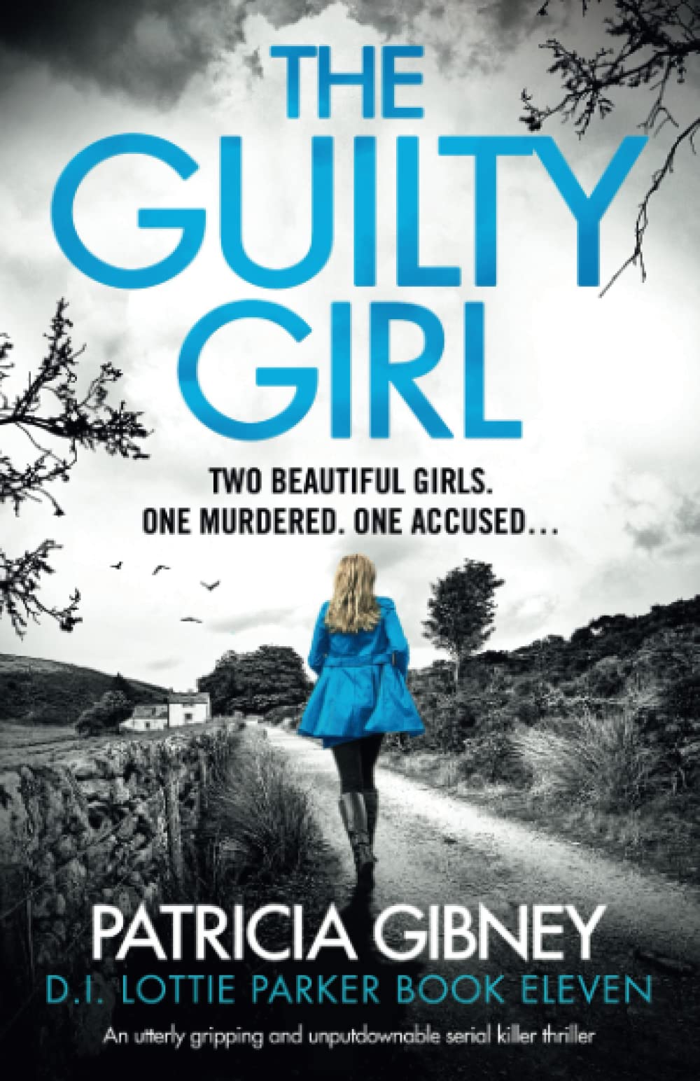 The Guilty Girl (D.I. Lottie Parker #11) by Patricia Gibney | Goodreads