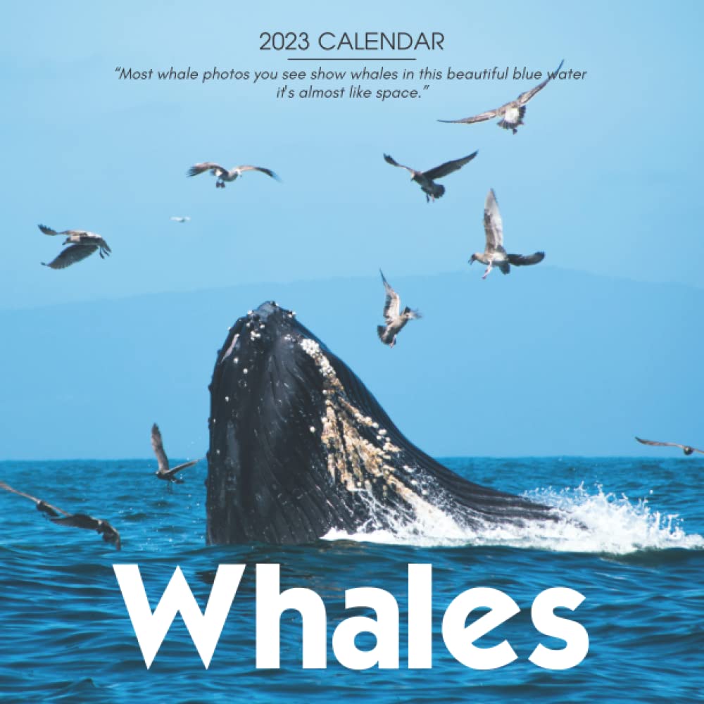 Whales Calendar: Beautiful 18-month 2023 Calendar - Gift for Family ...