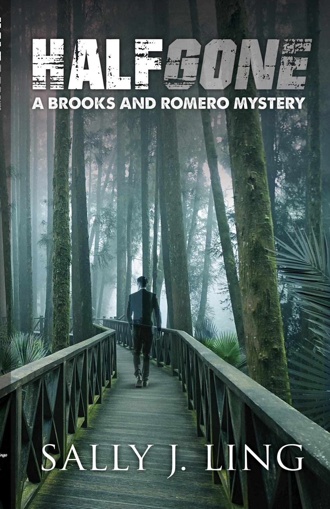 Half Gone: A Brooks and Romero Mystery by Sally Ling | Goodreads