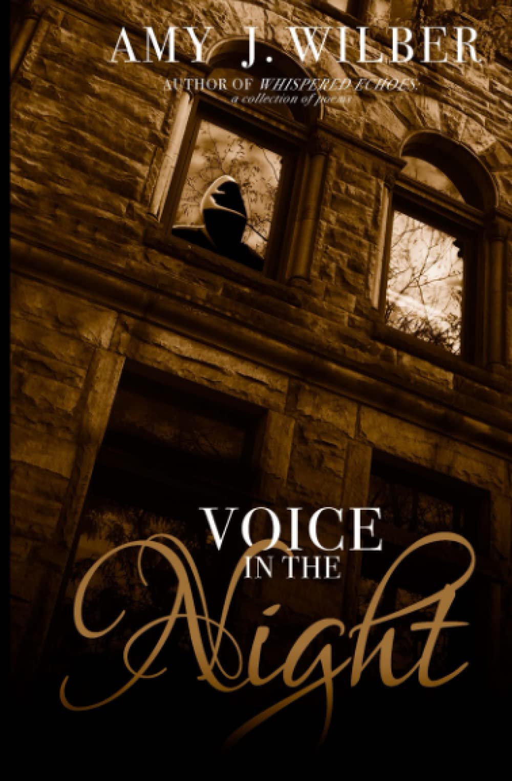 Voice in the Night by Amy J. Wilber | Goodreads