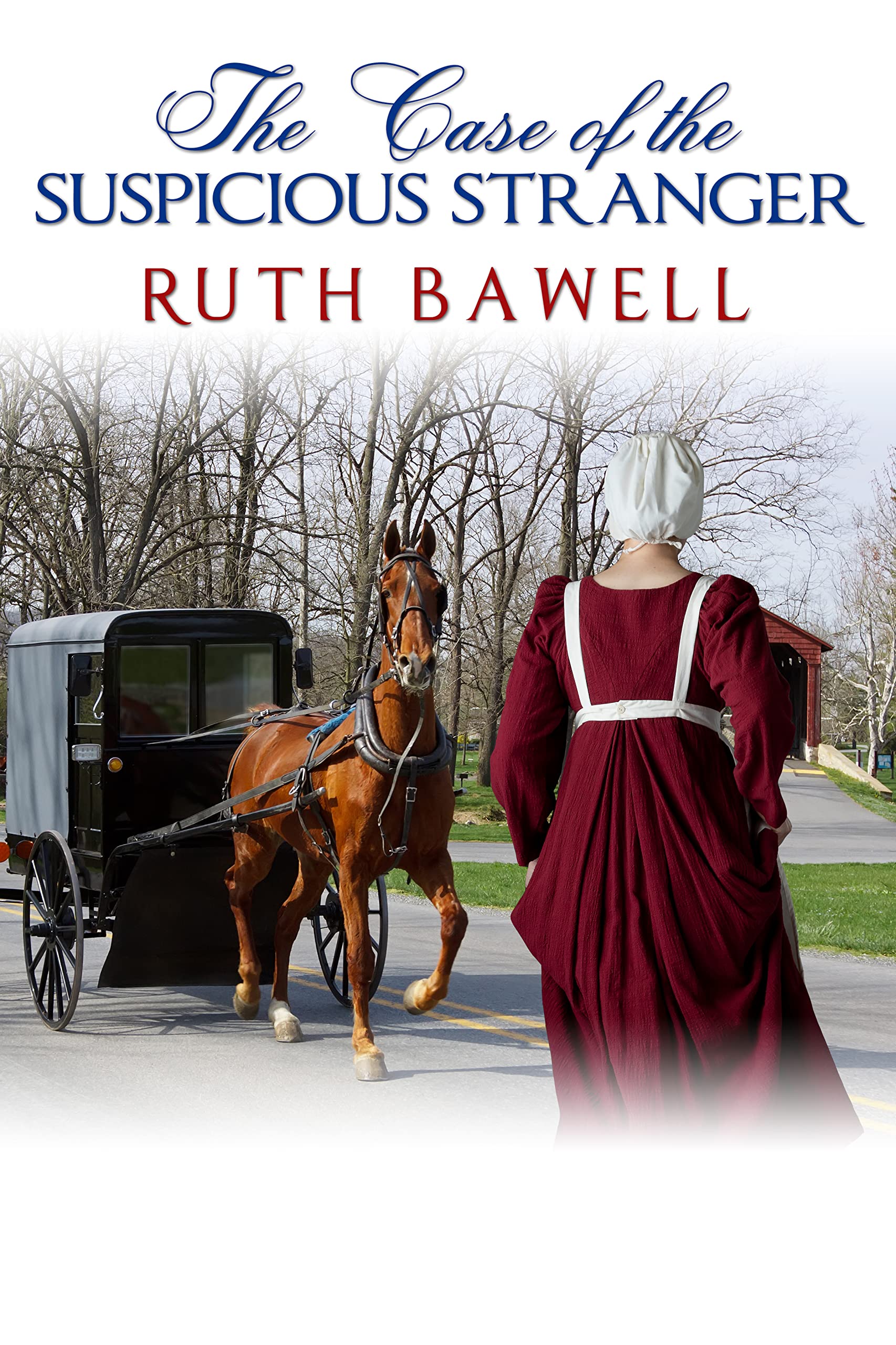 The Case of the Suspicious Stranger by Ruth Bawell | Goodreads