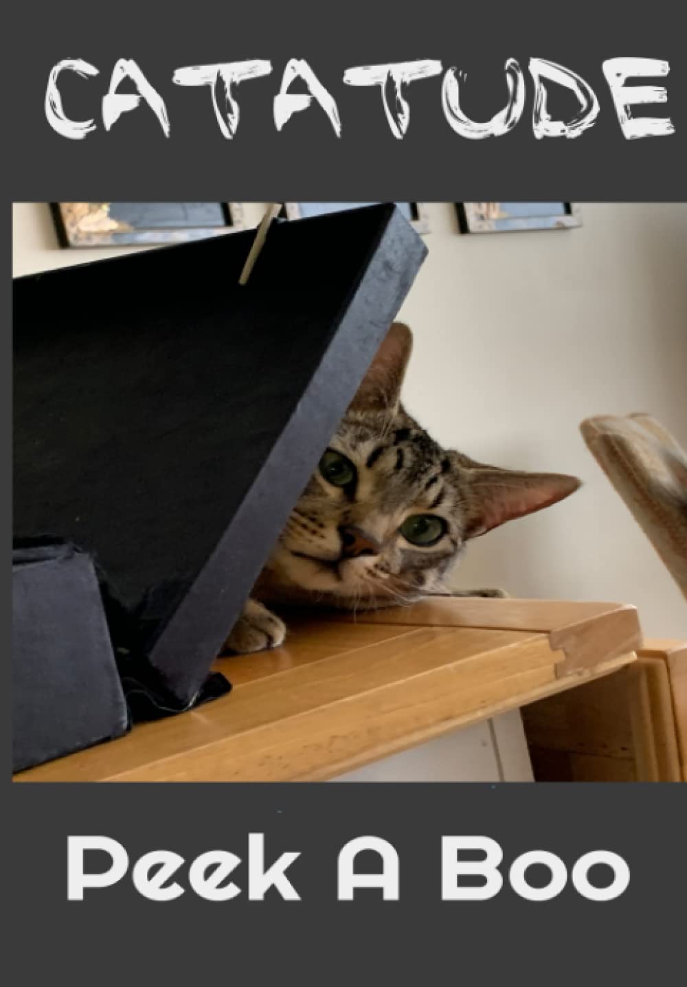 Catatude: Peek-a-Boo by Janet Sierzant | Goodreads