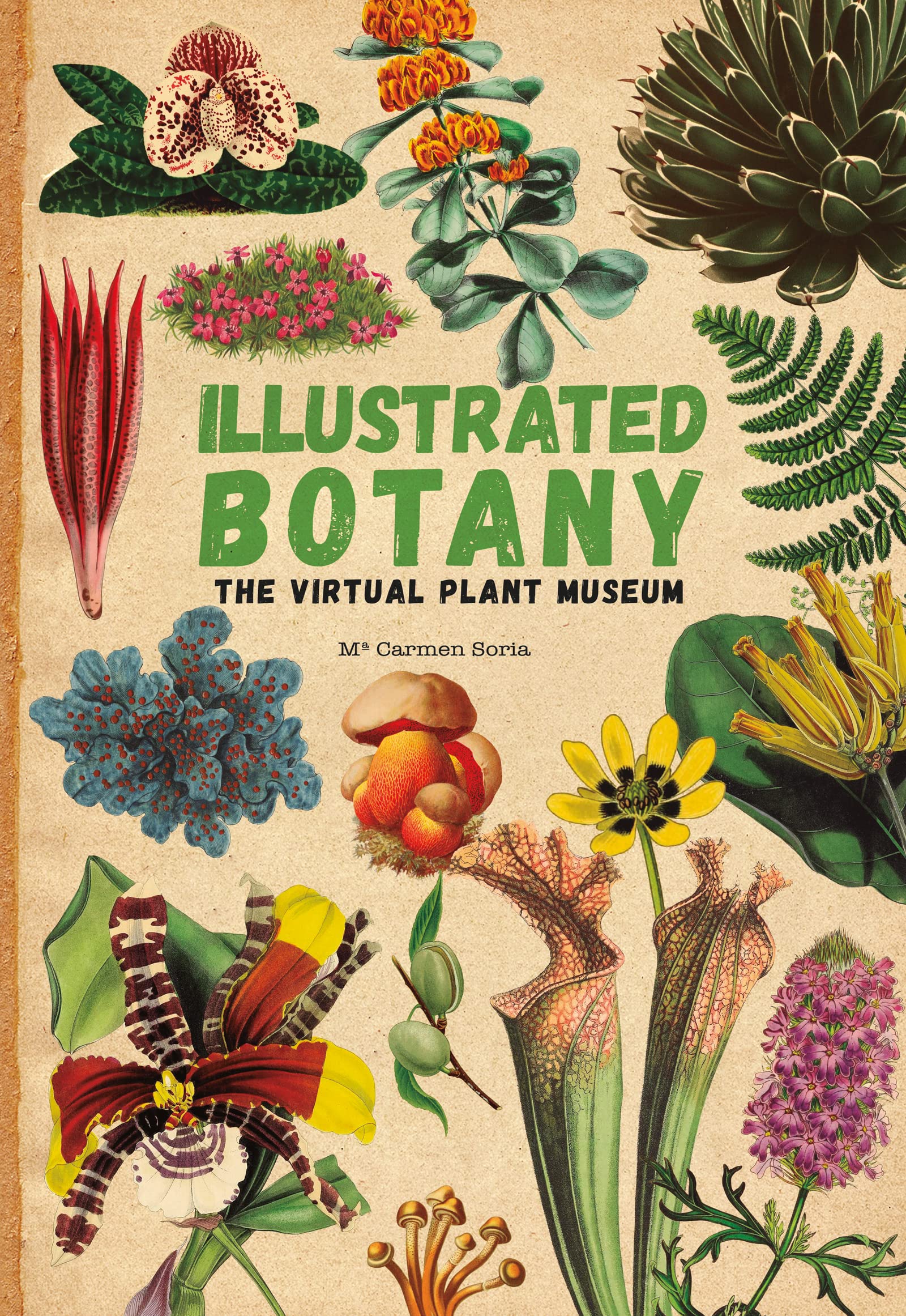 Illustrated Botany: The Virtual Plant Museum by Carmen Soria | Goodreads