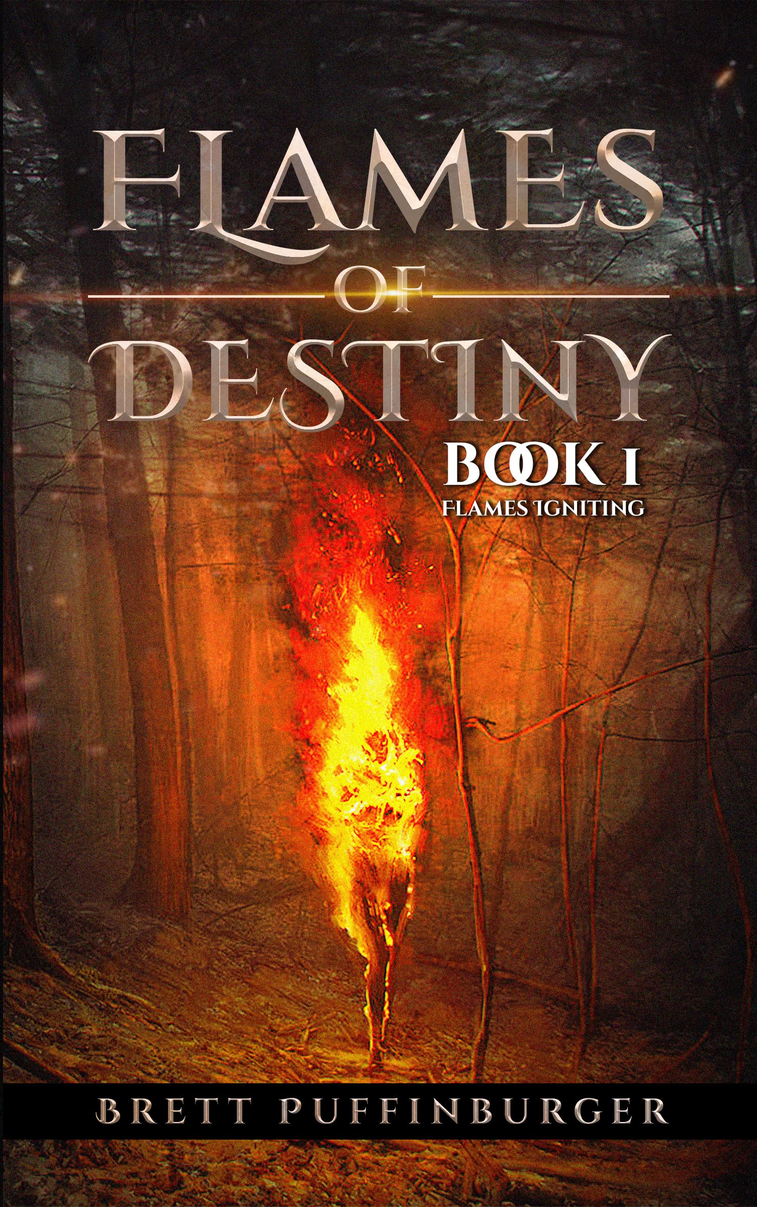 Flames of Destiny: Book 1: Flames Igniting by Brett Puffinburger ...