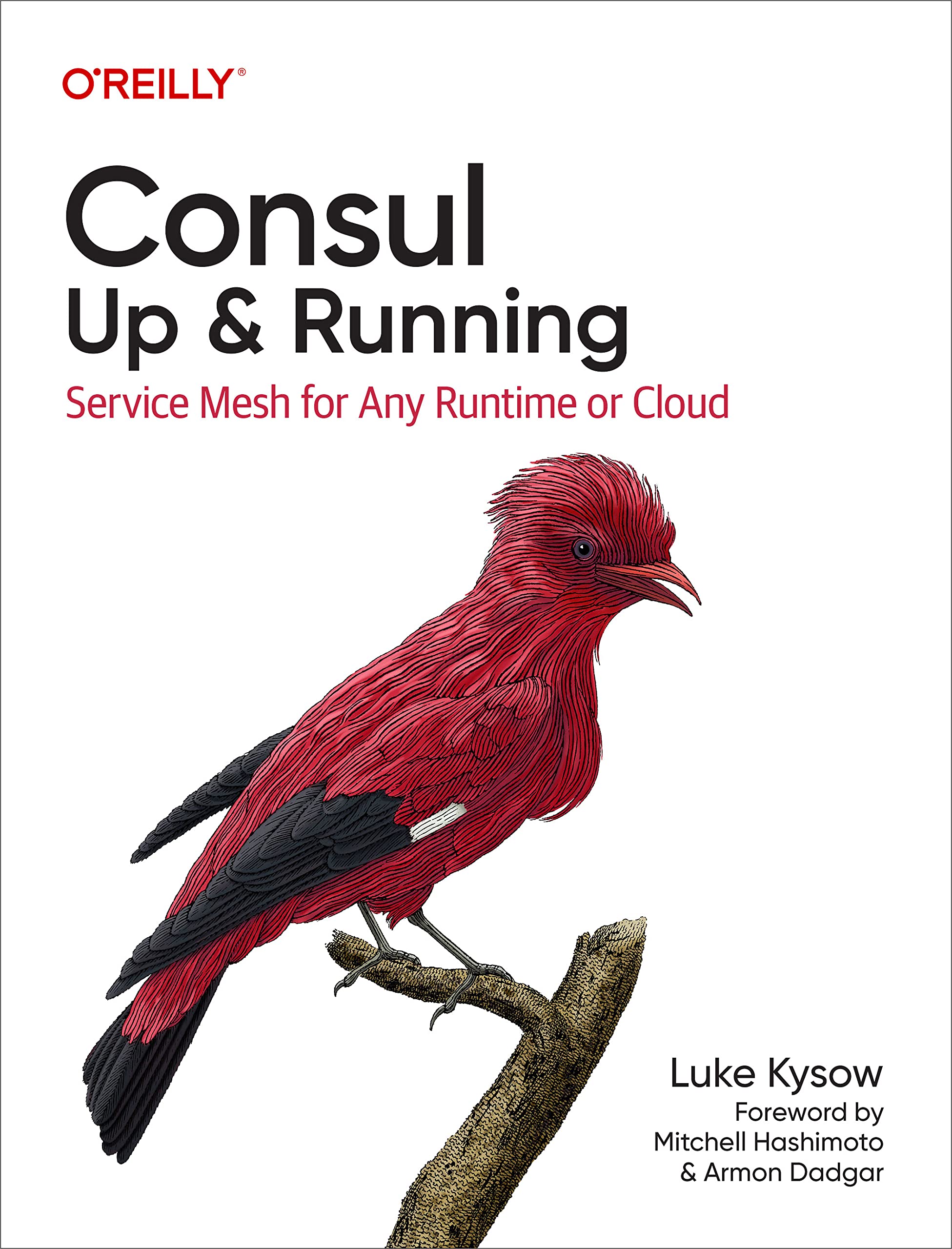 Consul: Up and Running: Service Mesh for Any Runtime or Cloud by Luke ...
