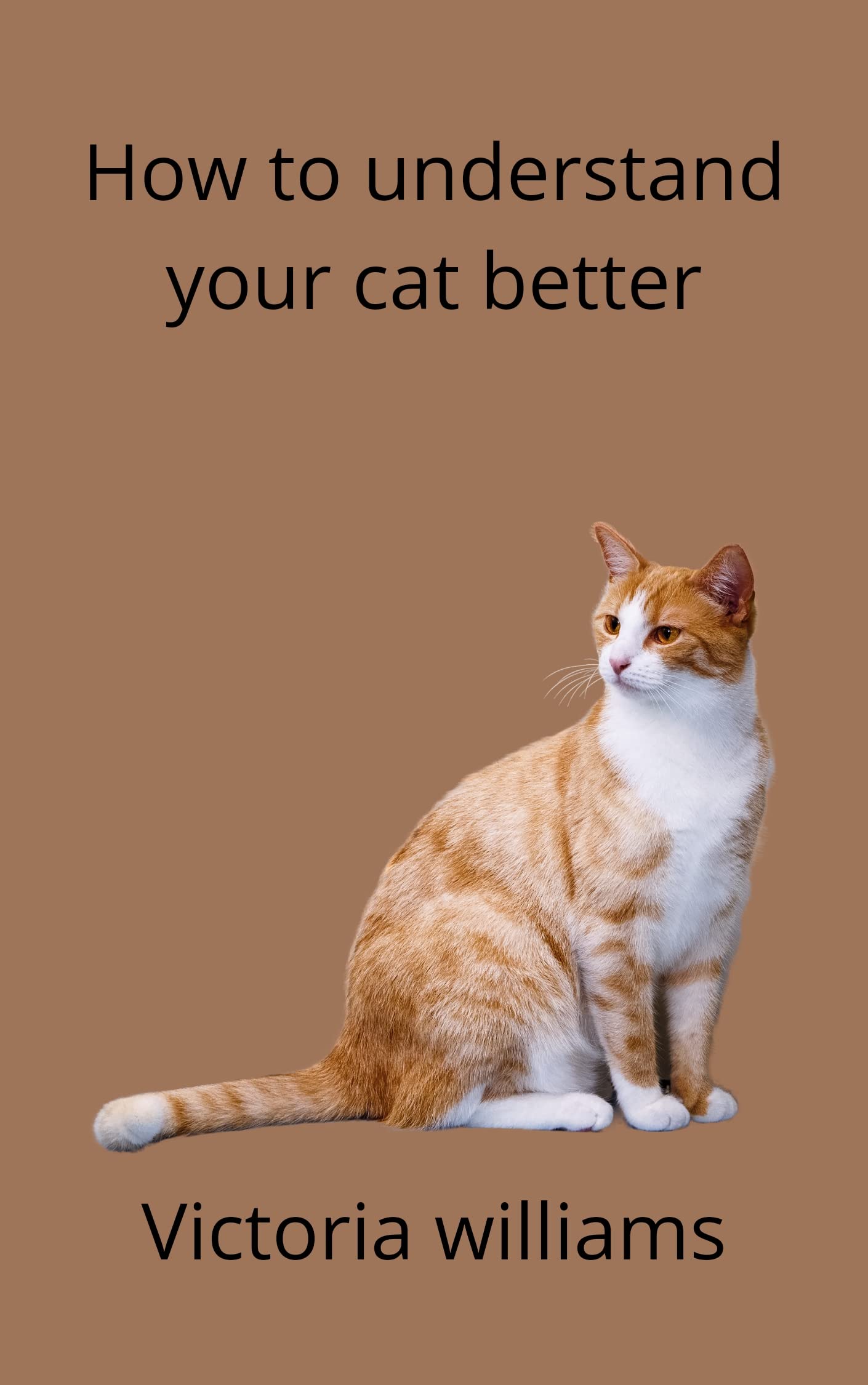 How to understand your cat better: Guide to giving your cat a better ...