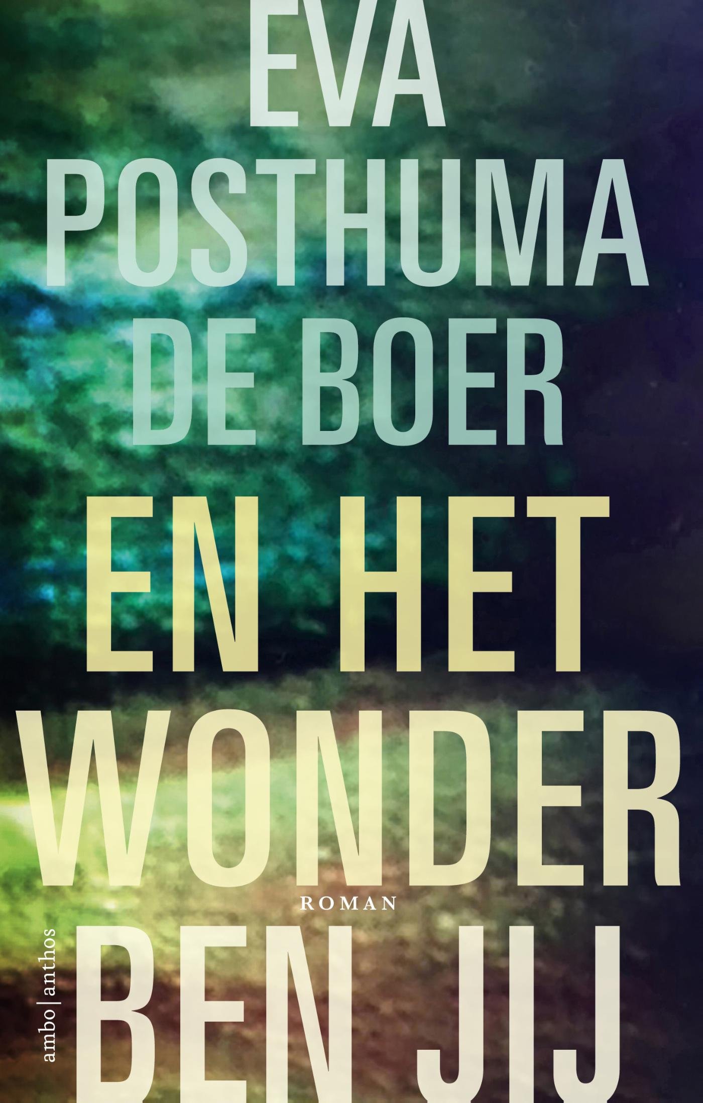 En het wonder ben jij (Dutch Edition) by Eva Posthuma de Boer | Goodreads