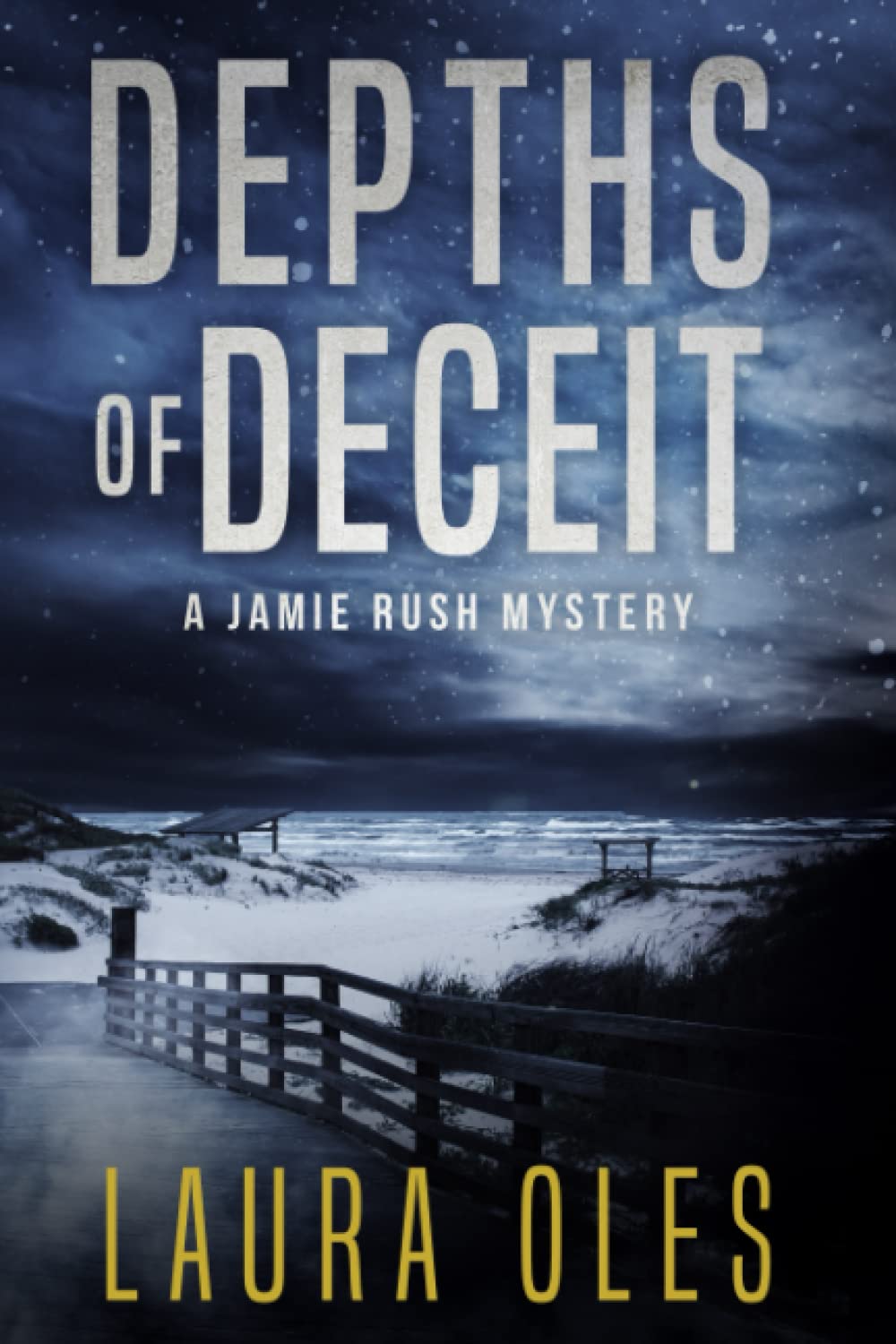 Depths of Deceit (A Jamie Rush Mystery) by Laura Oles | Goodreads