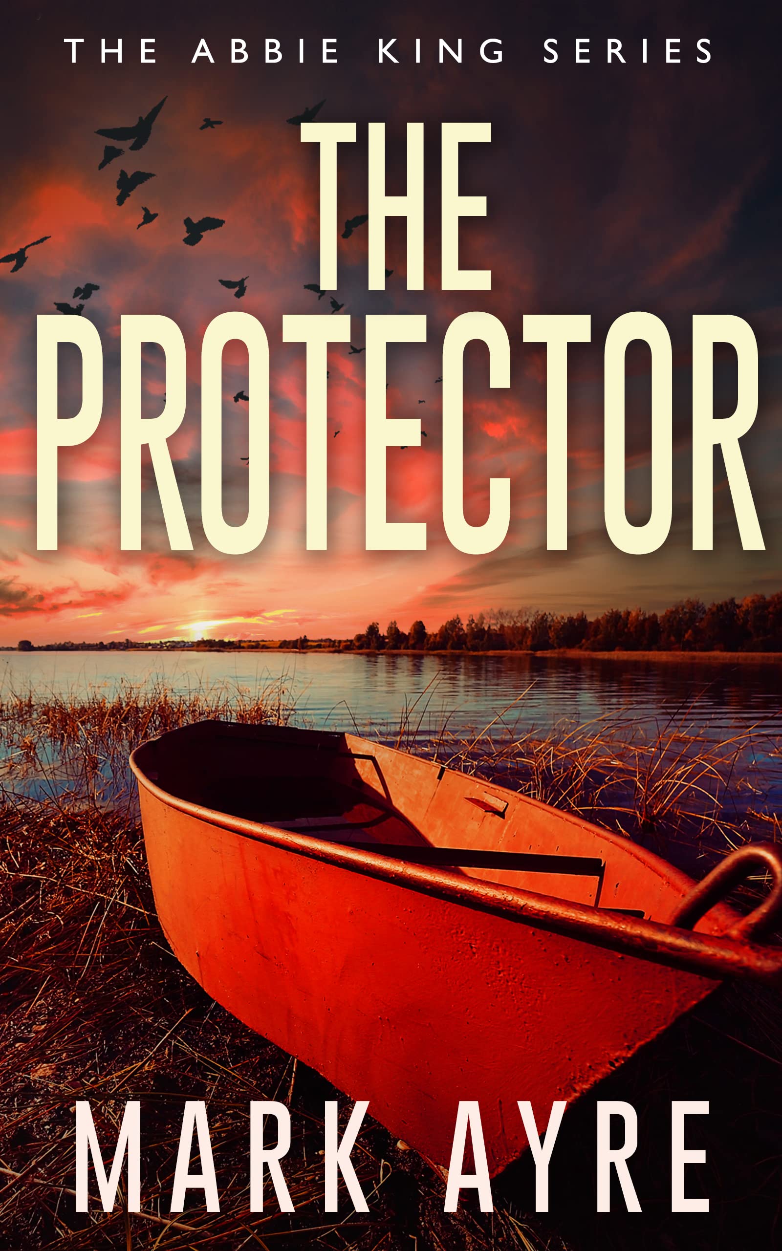 The Protector (Abbie King Thrillers Book 5) by Mark Ayre | Goodreads