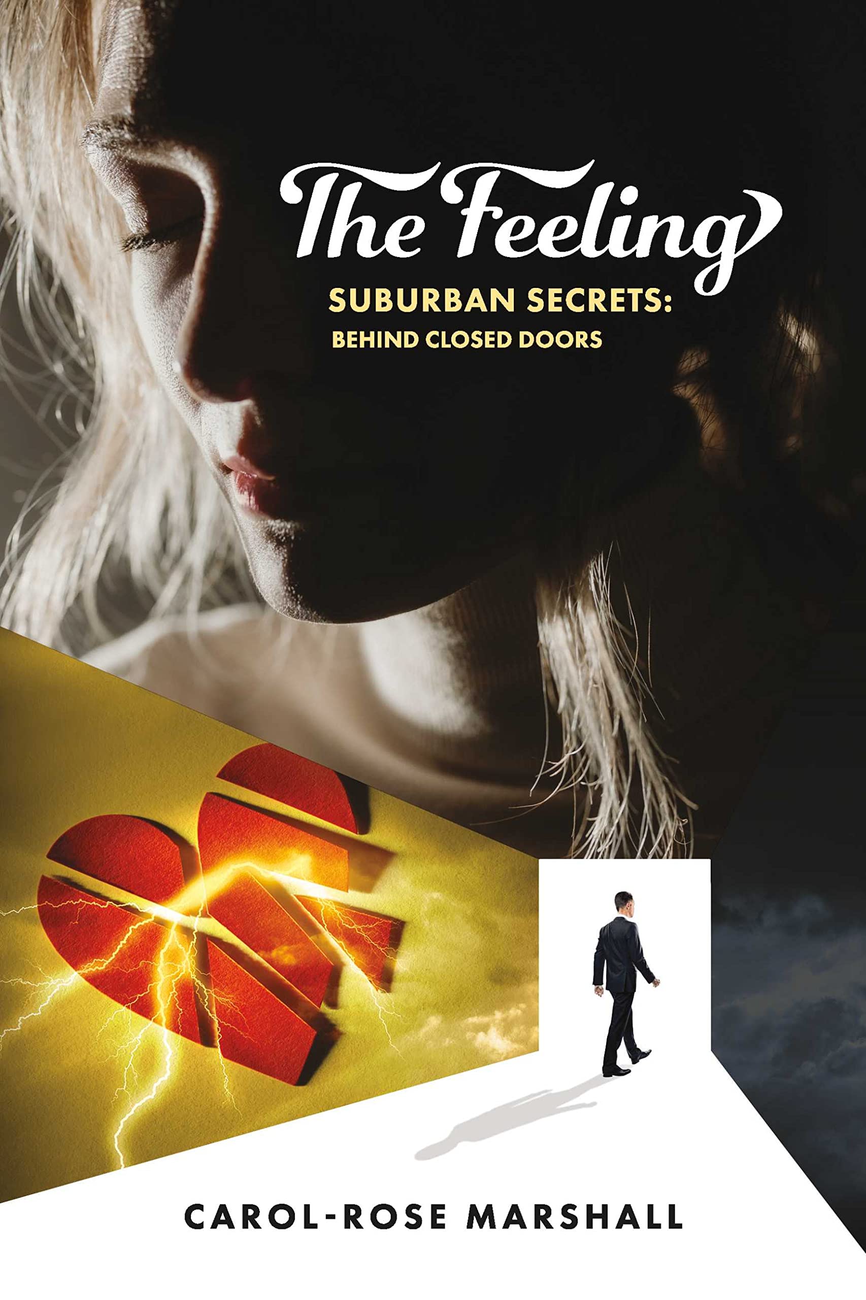 The Feeling: Suburban Secrets: Behind Closed Doors by Carol-Rose ...