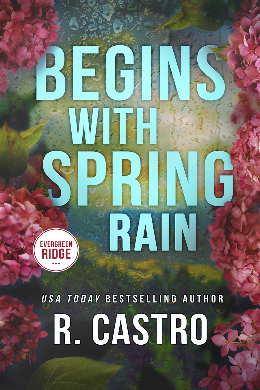 Begins with Spring Rain by R. Castro | Goodreads