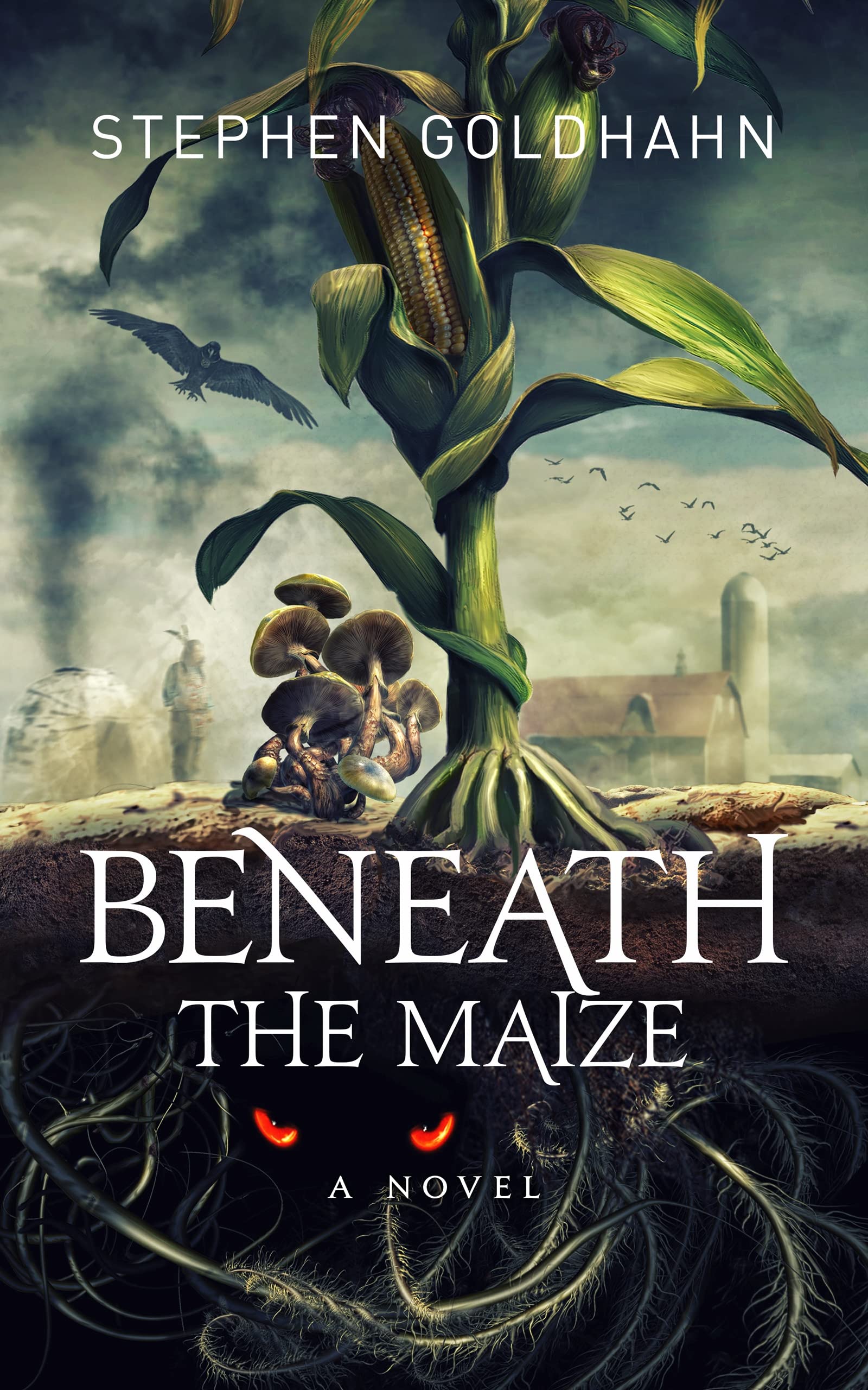 Beneath the Maize by Stephen Goldhahn | Goodreads