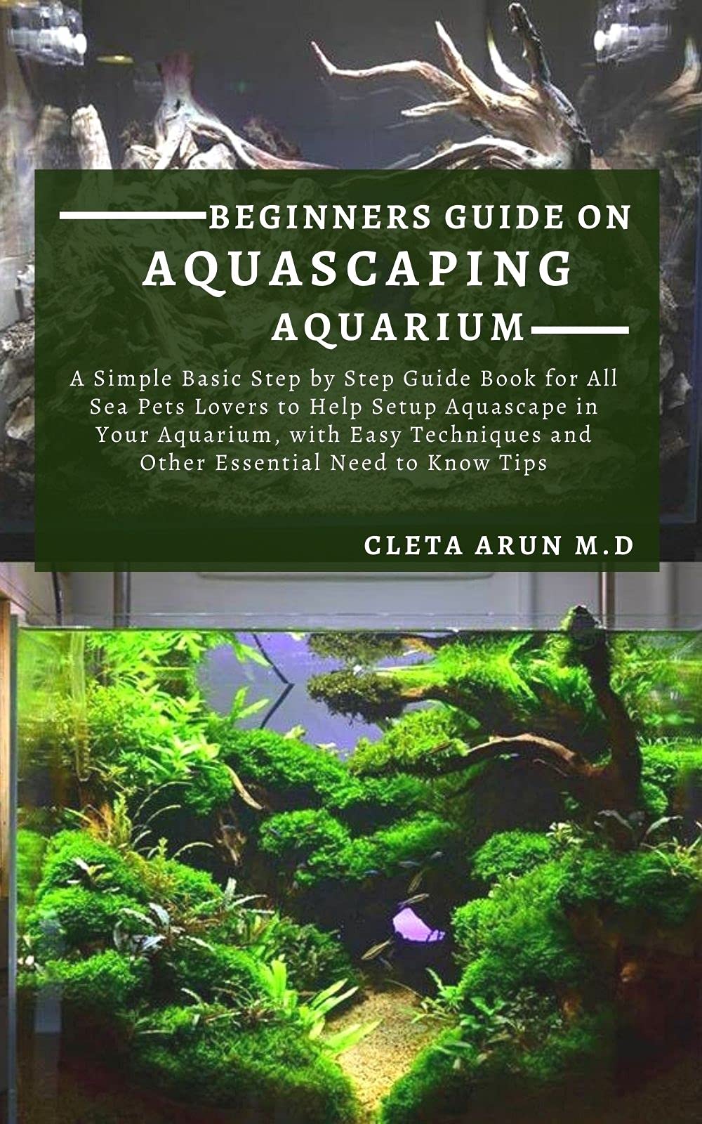 BEGINNERS GUIDE ON AQUASCAPING AQUARIUM: A Simple Basic Step by Step ...