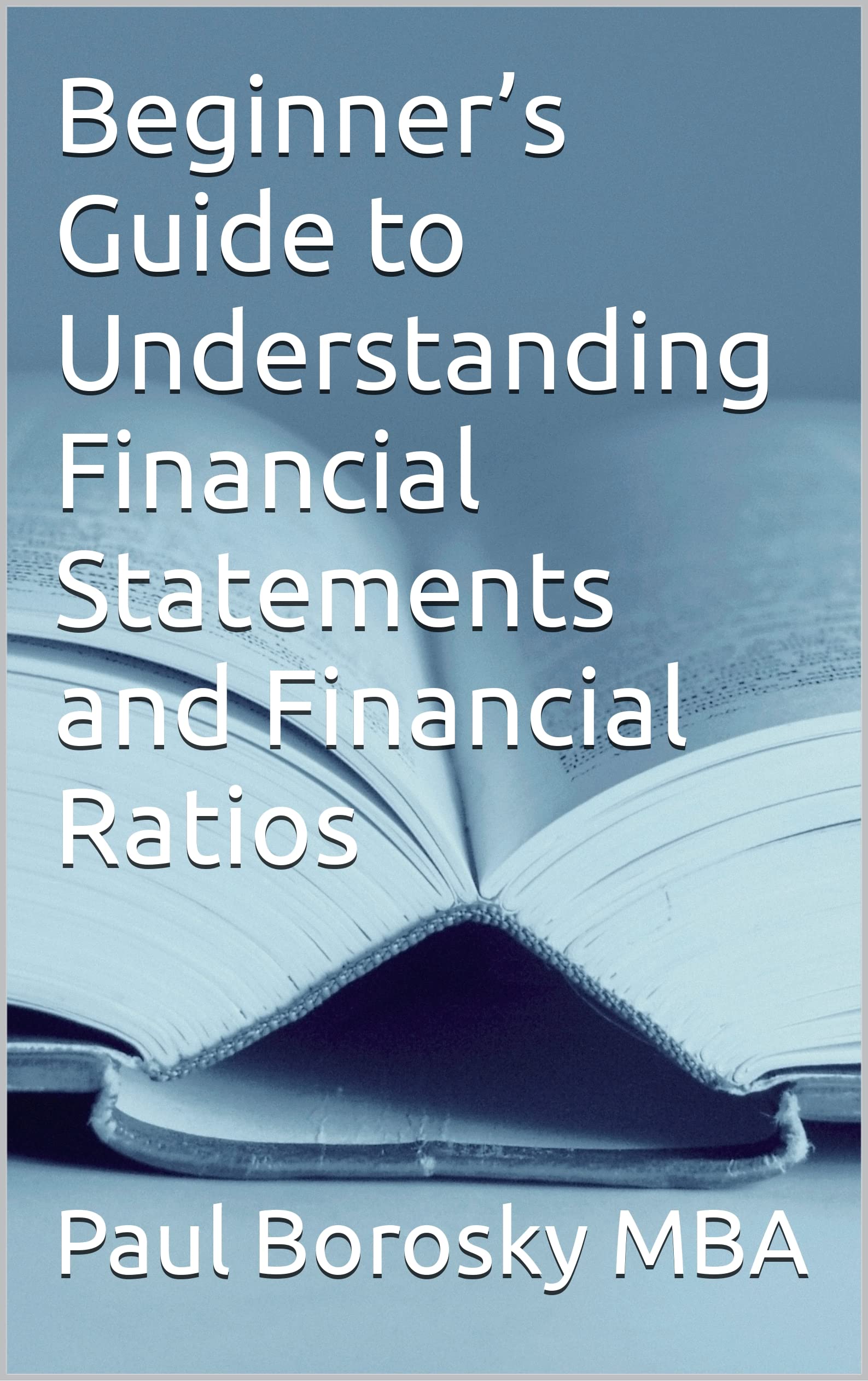 Beginner’s Guide to Understanding Financial Statements and Financial ...