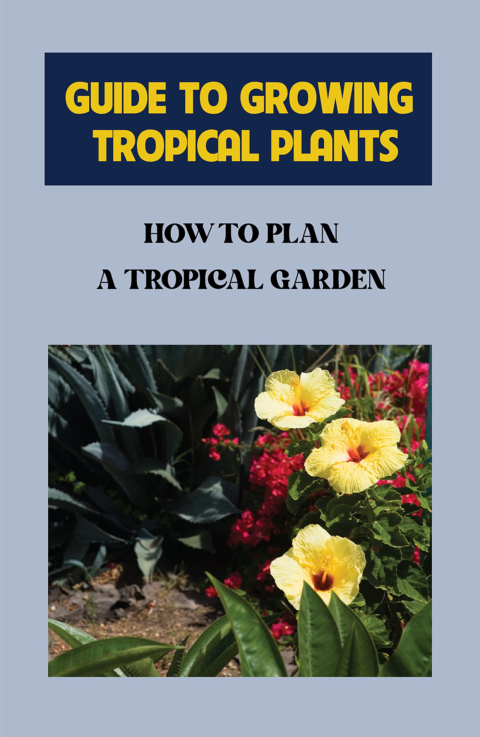 Guide To Growing Tropical Plants: How To Plan A Tropical Garden ...