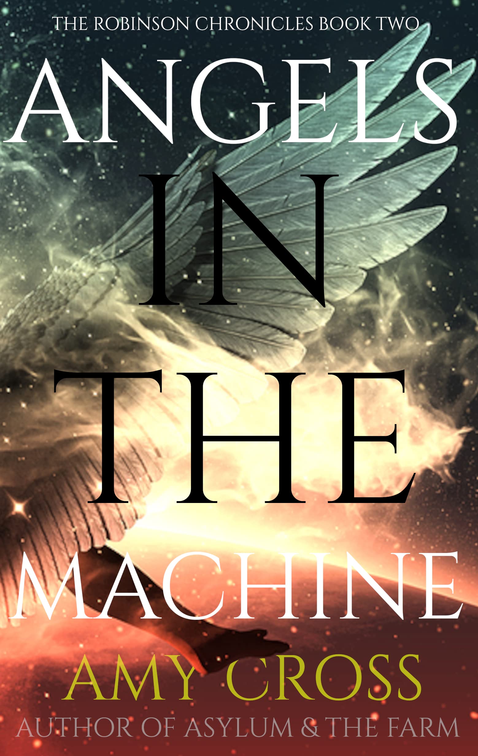 Angels in the Machine (The Robinson Chronicles Book 2) by Amy Cross ...