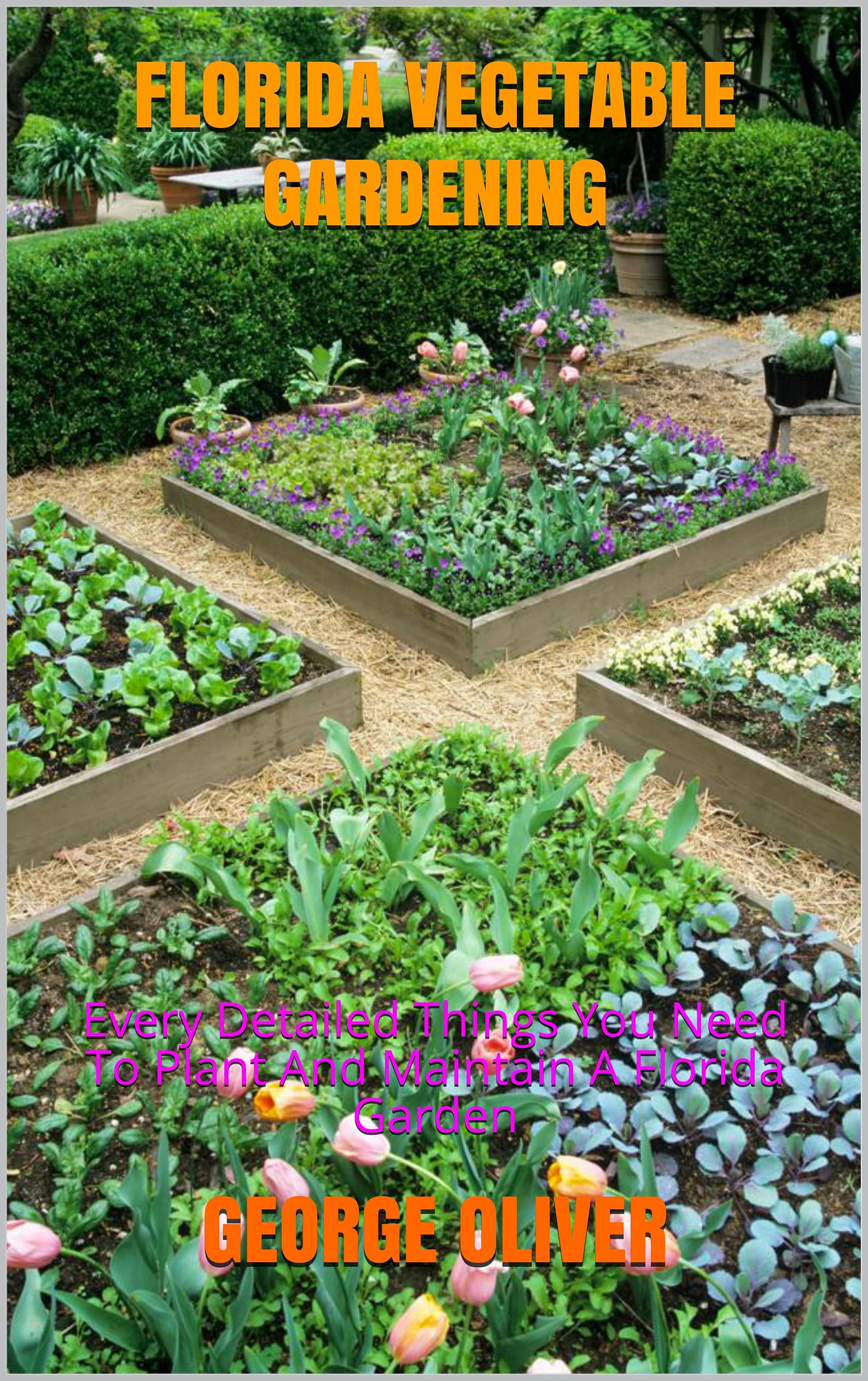 FLORIDA VEGETABLE GARDENING: Every Detailed Things You Need To Plant ...