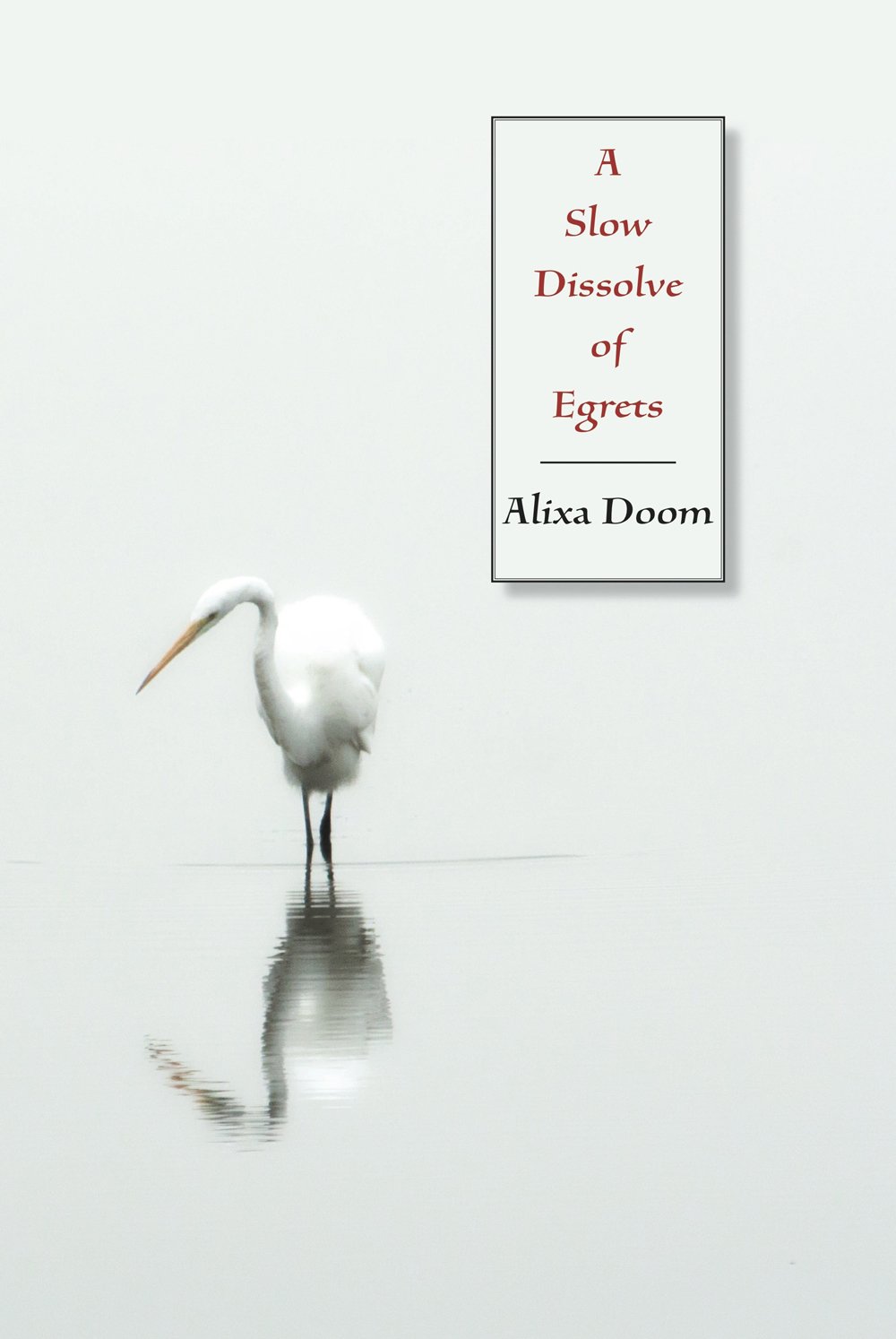 A Slow Dissolve of Egrets by Alixa Doom | Goodreads