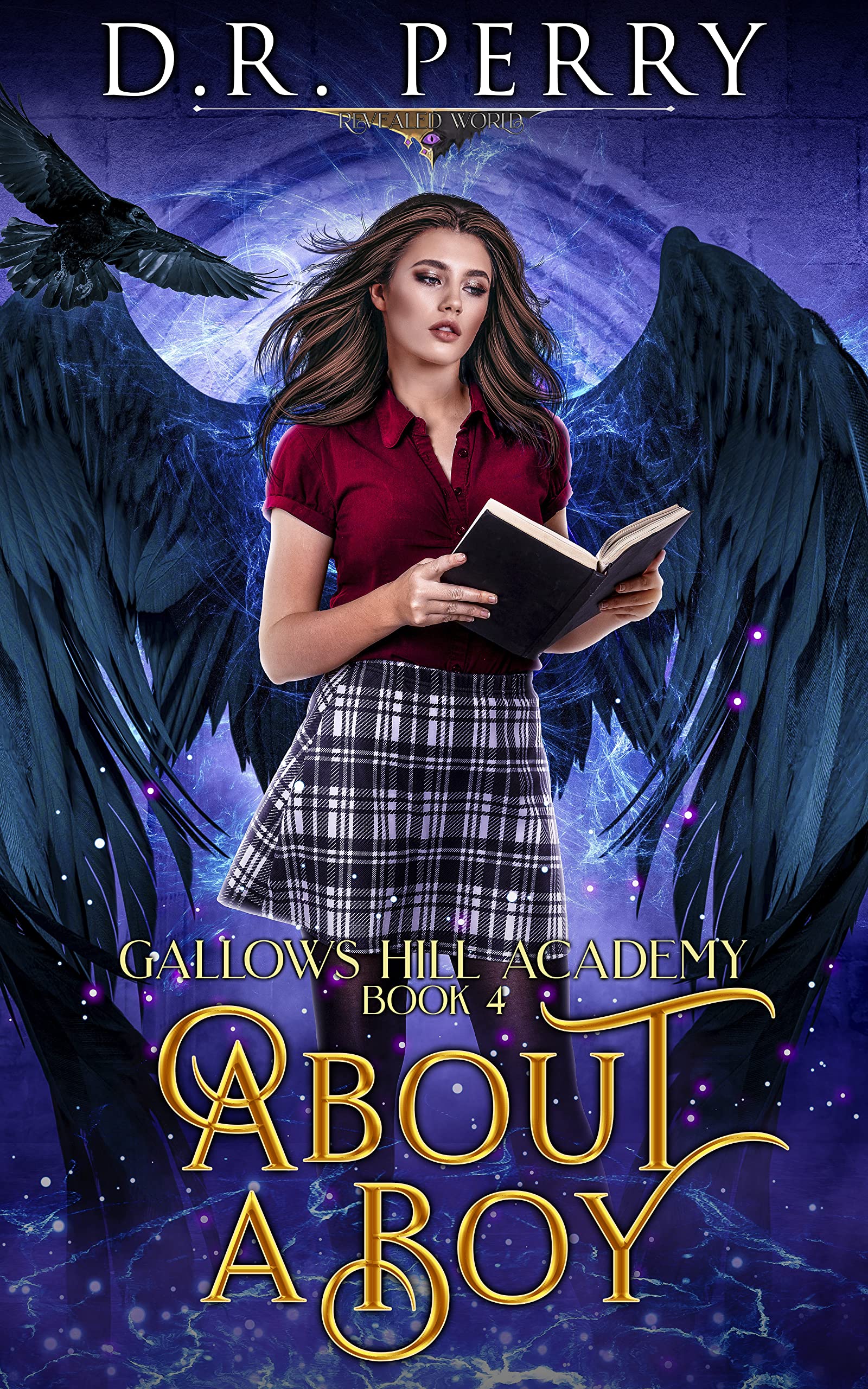 About A Boy (Gallows Hill Academy, #4) by D.R. Perry | Goodreads