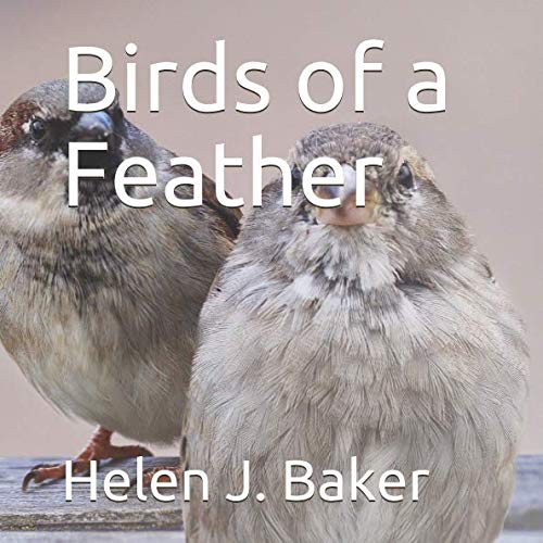 Birds of a Feather (Little Lessons Series) by Helen J. Baker | Goodreads