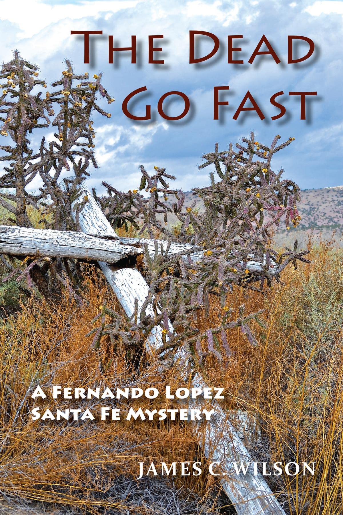 The Dead Go Fast: A Fernando Lopez Santa Fe Mystery by James C. Wilson ...