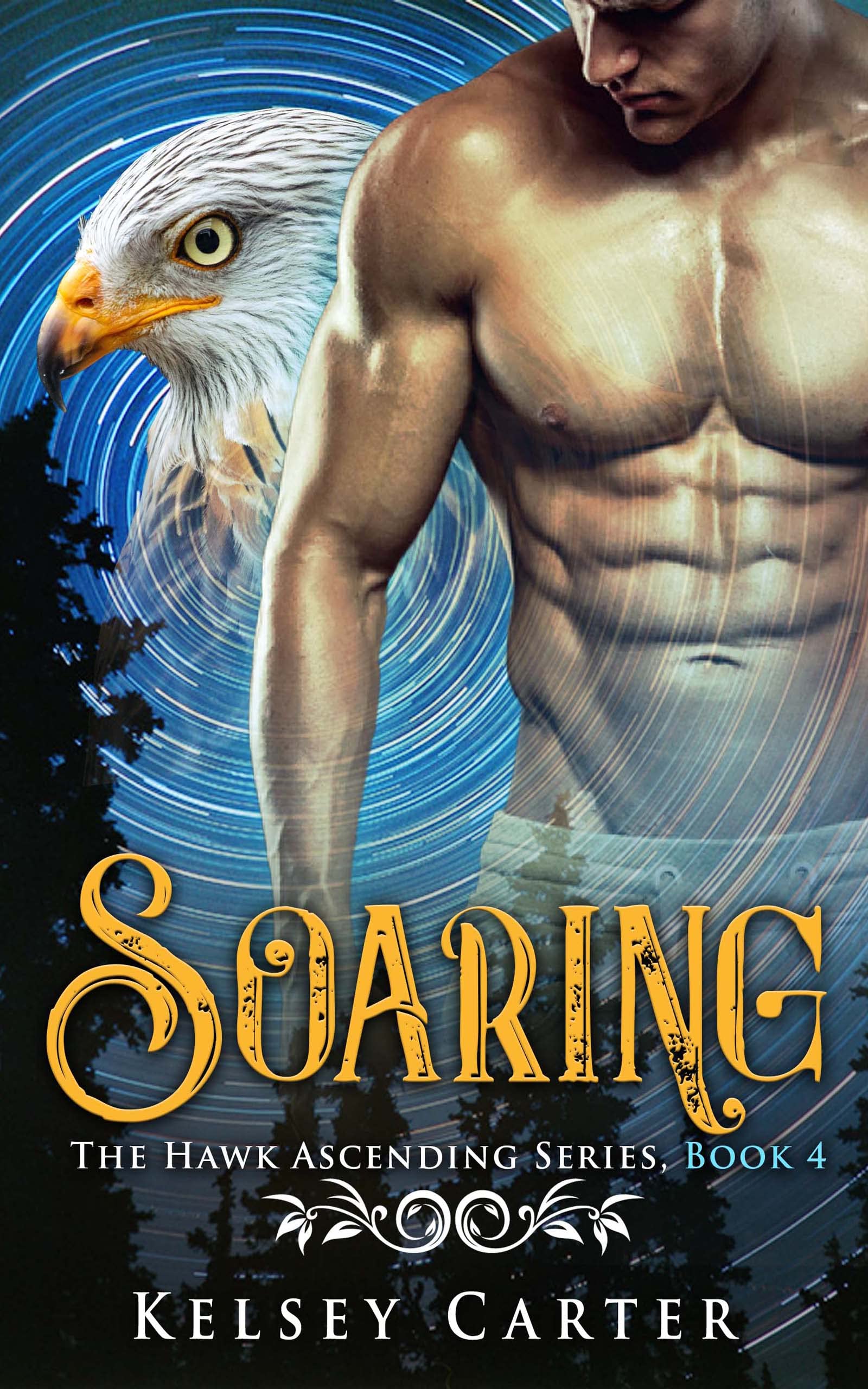Soaring (Hawk Ascending, #4) by Kelsey Carter | Goodreads