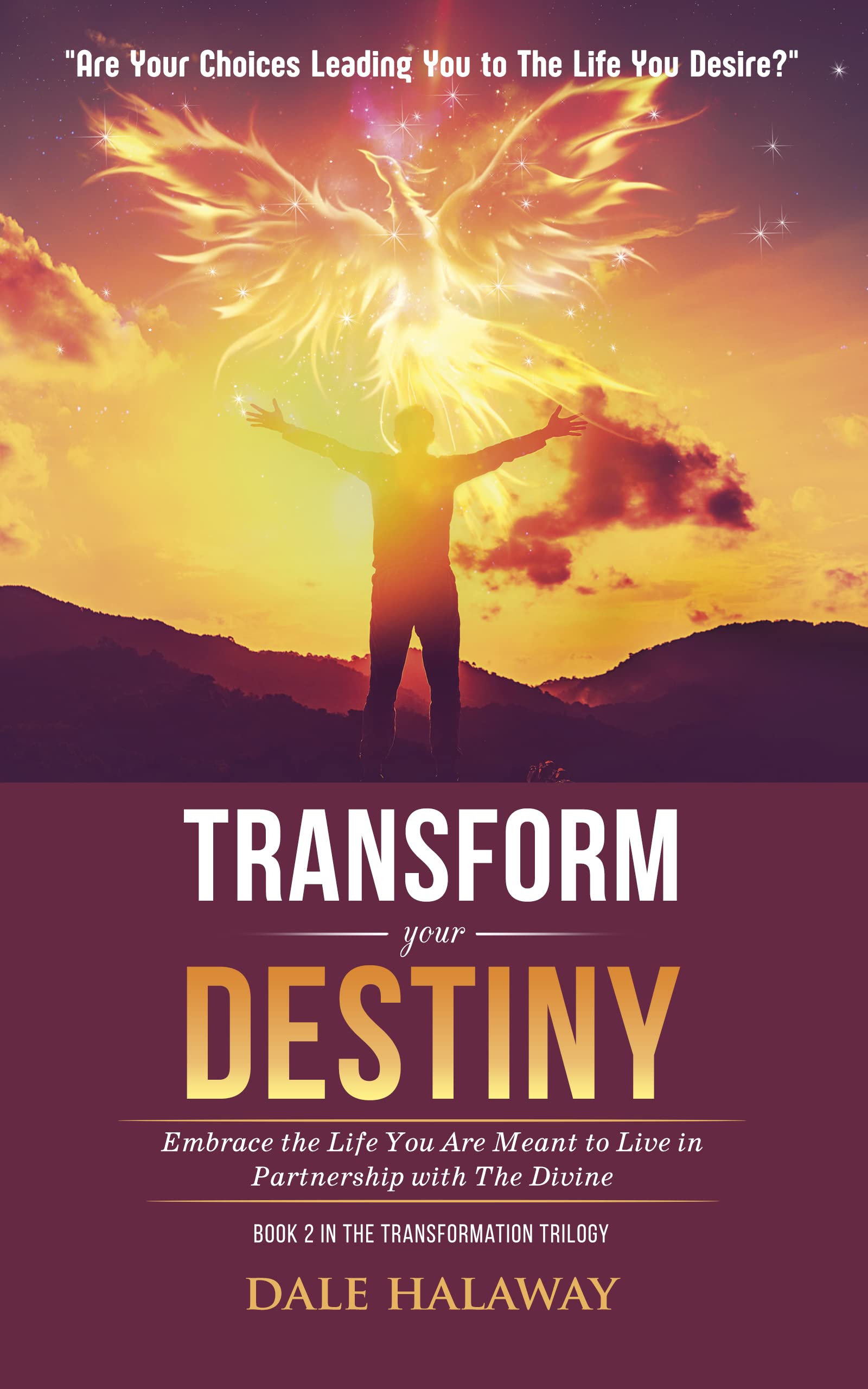 Transform Your Destiny: Embrace the Life You Are Meant to Live in ...