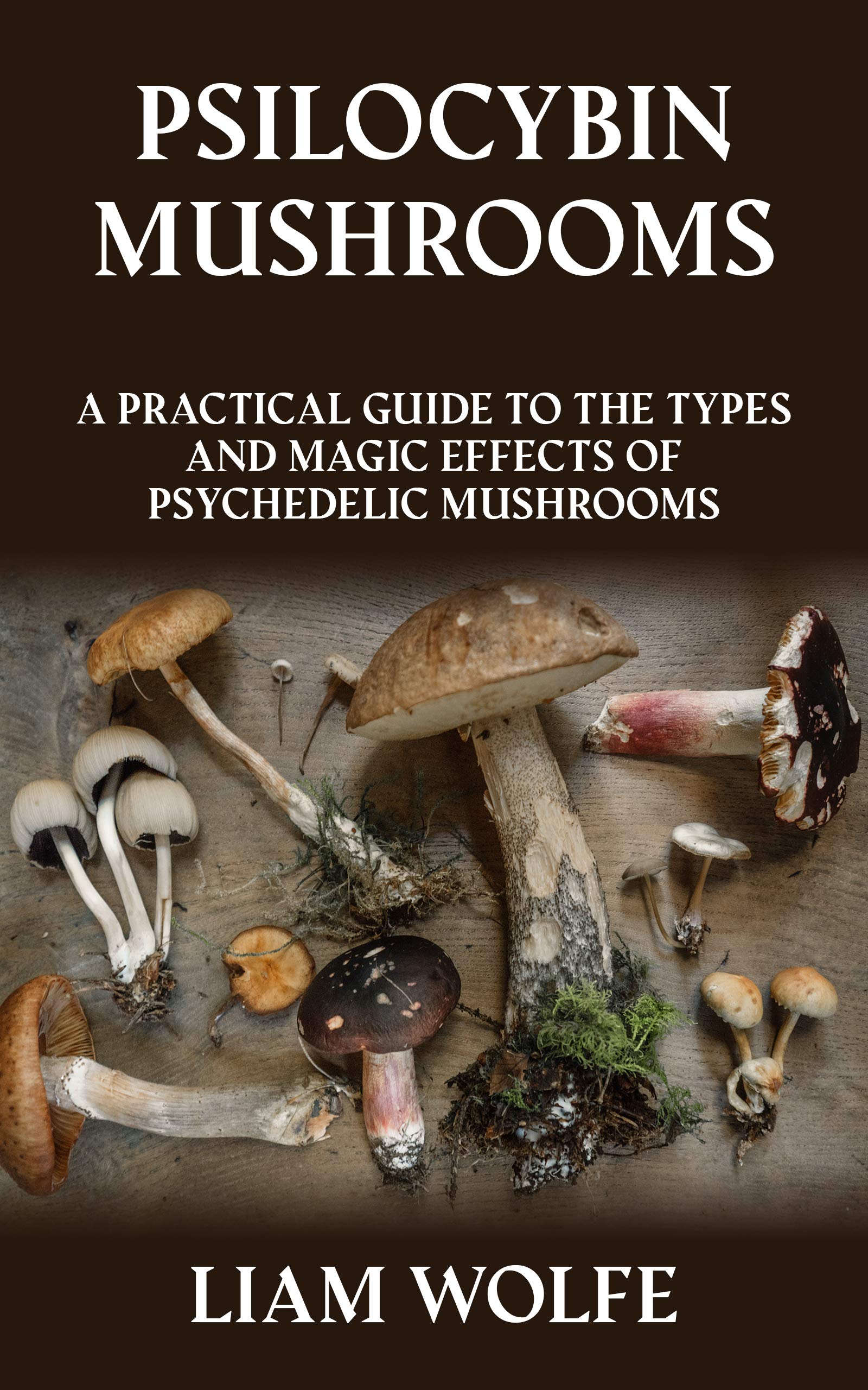 Psilocybin Mushrooms: A Practical Guide to the Types and Magic Effects ...