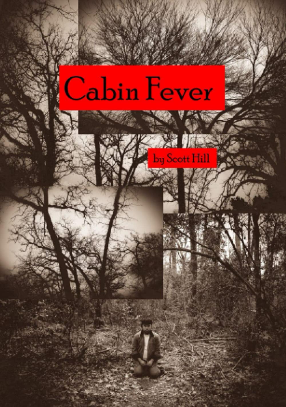 Cabin Fever by Scott Hill | Goodreads