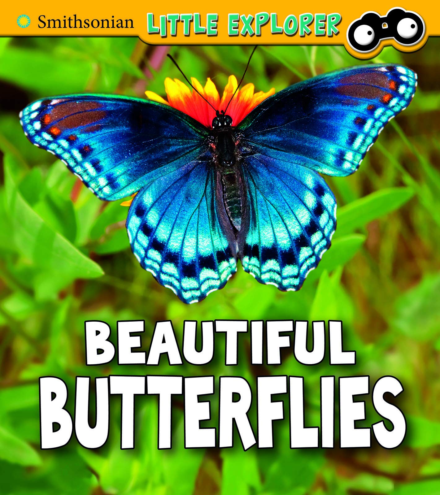 Beautiful Butterflies by Melissa Higgins | Goodreads