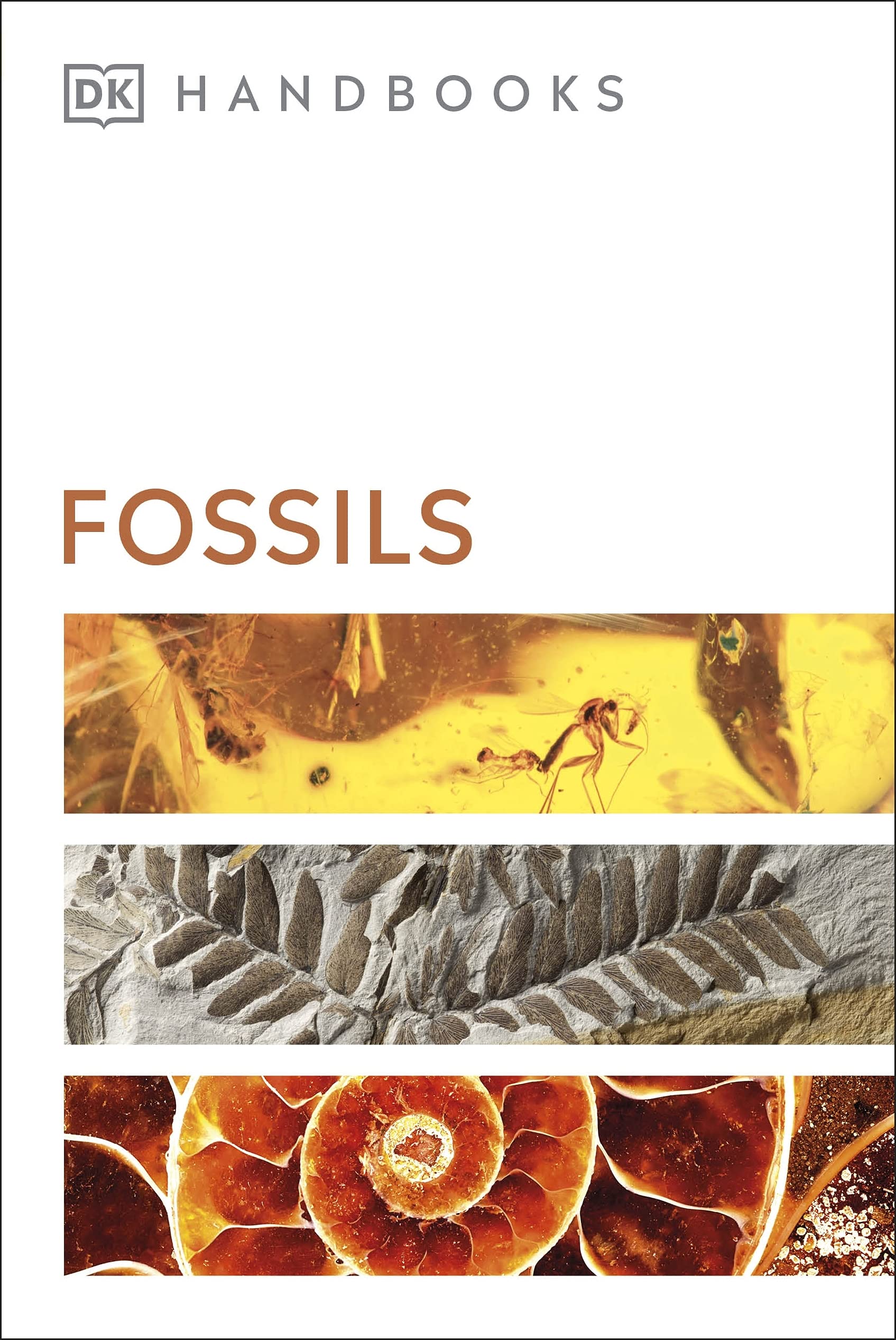 Fossils (DK Handbooks) by D.K. Publishing | Goodreads