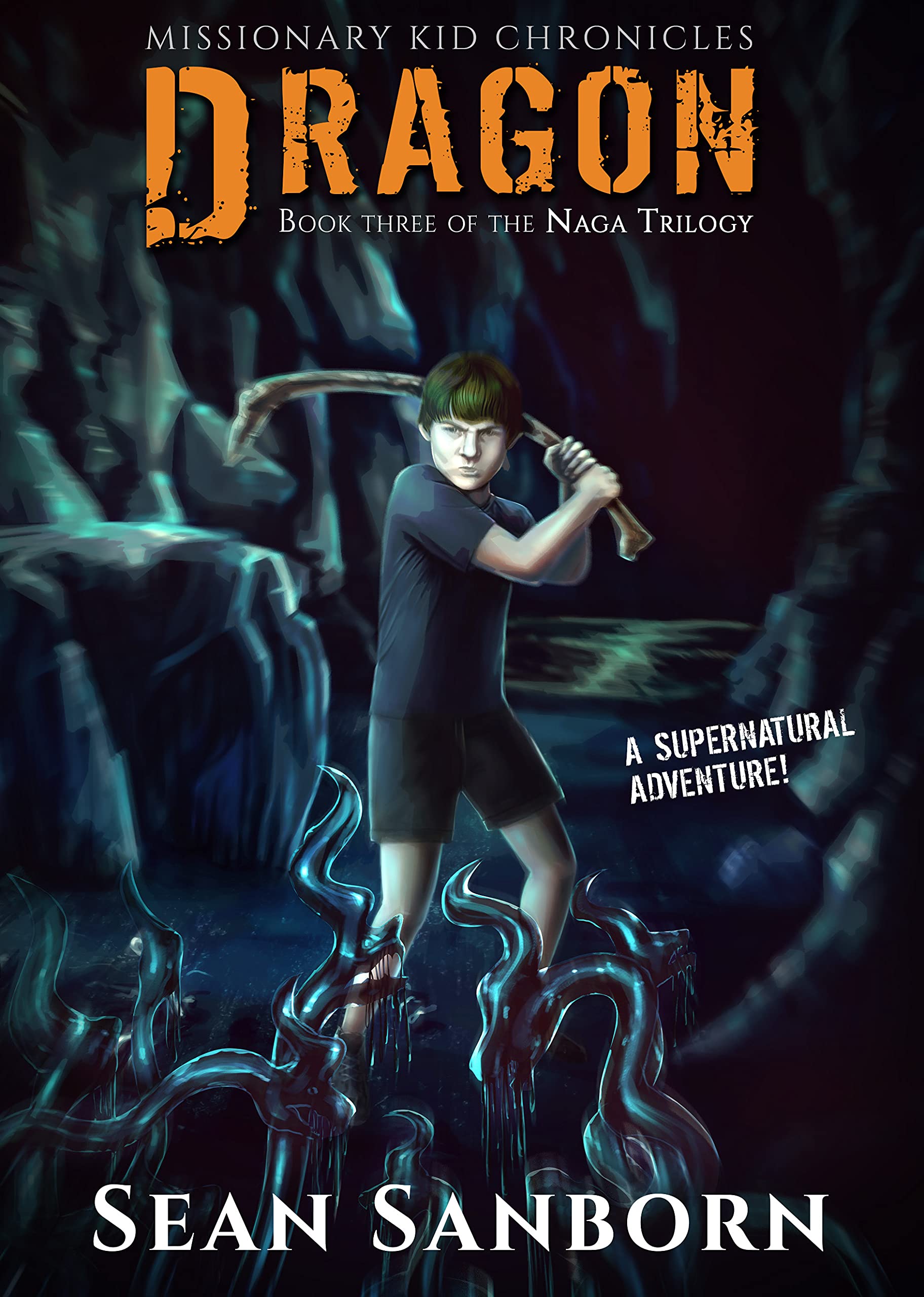 The Naga Trilogy: Dragon: A Supernatural Adventure by Sean Sanborn ...