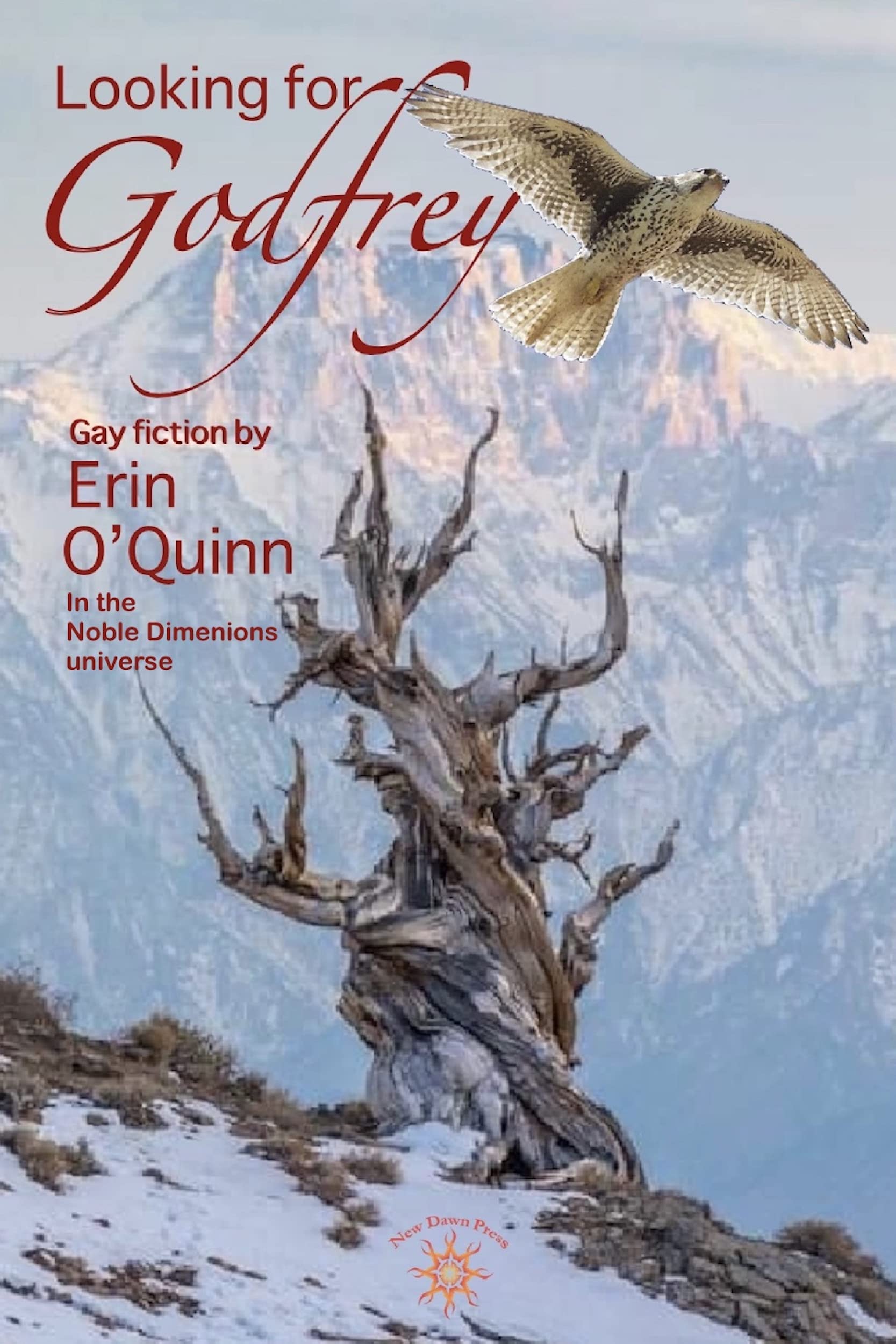 Looking for Godfrey (Noble Dimensions Book 3) by Erin O'Quinn | Goodreads