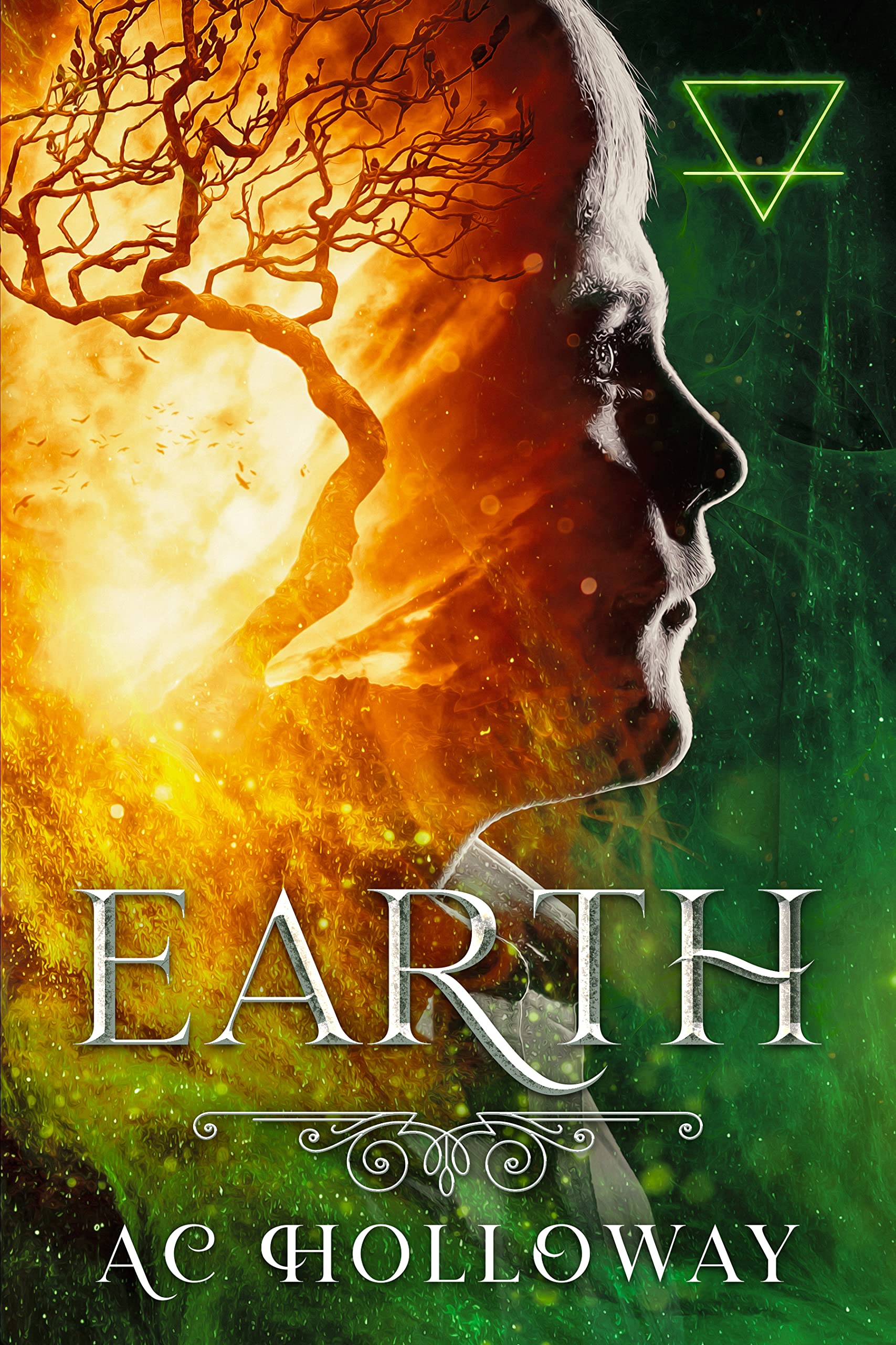 Earth: Magic Rediscovered: Book 1 by AC Holloway | Goodreads