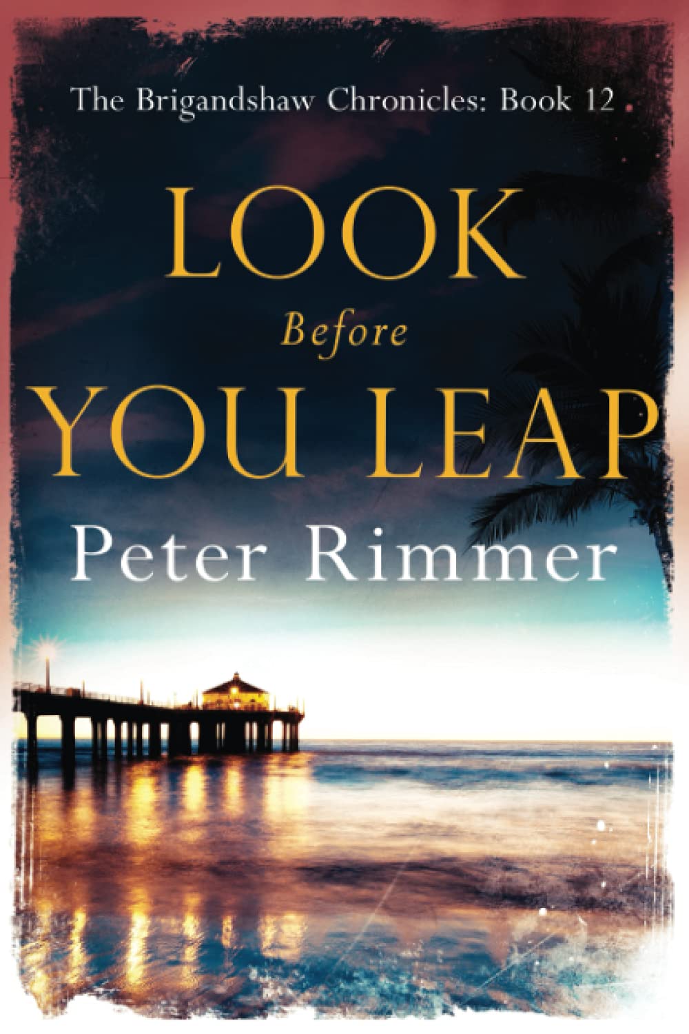 Look Before You Leap (The Brigandshaw Chronicles) by Peter Rimmer ...