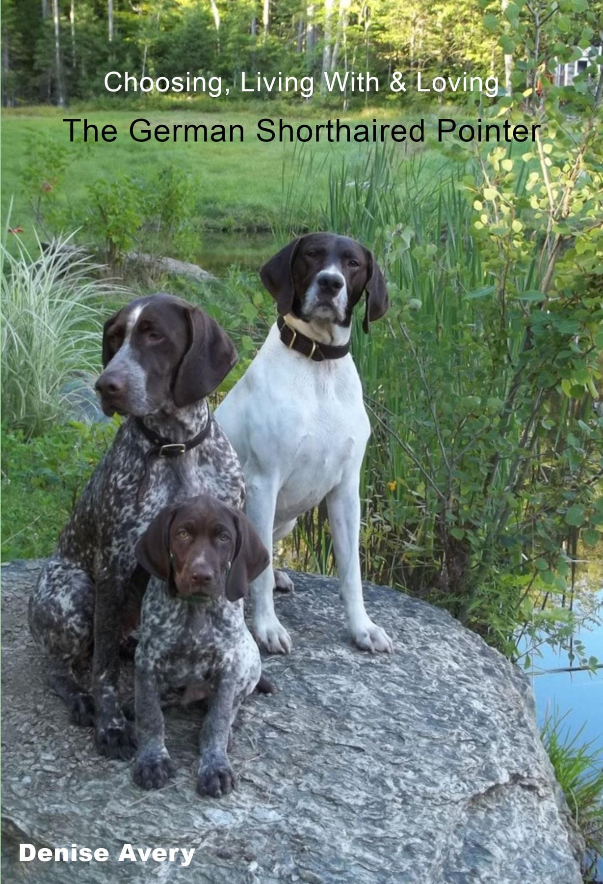 Choosing, Living With & Loving The German Shorthaired Pointer by Denise ...
