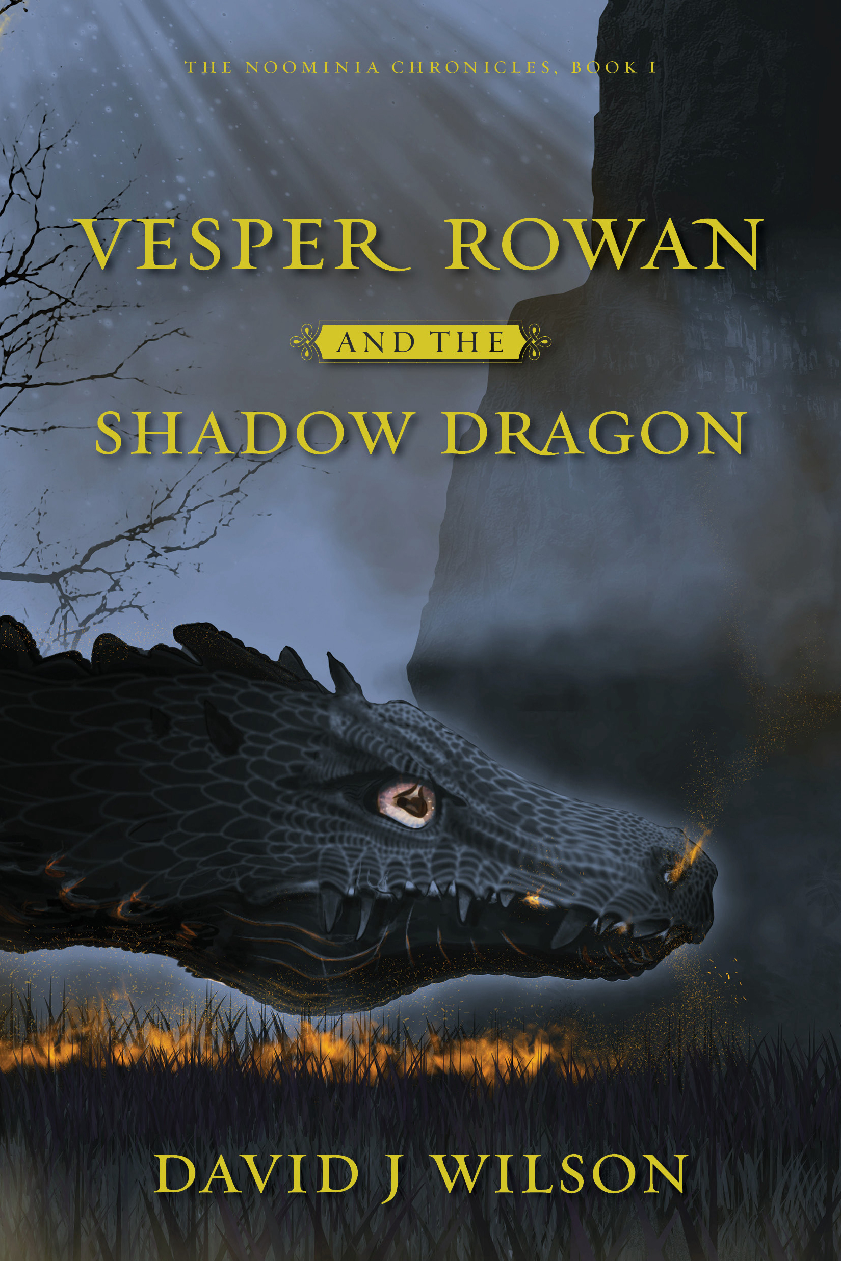 Vesper Rowan and the Shadow Dragon by David J. Wilson | Goodreads