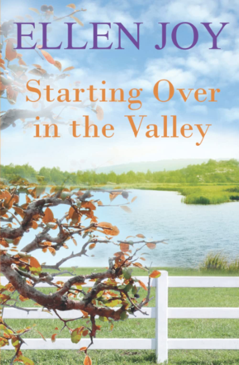 Starting Over in the Valley (Prairie Valley Sisters #3) by Ellen Joy ...
