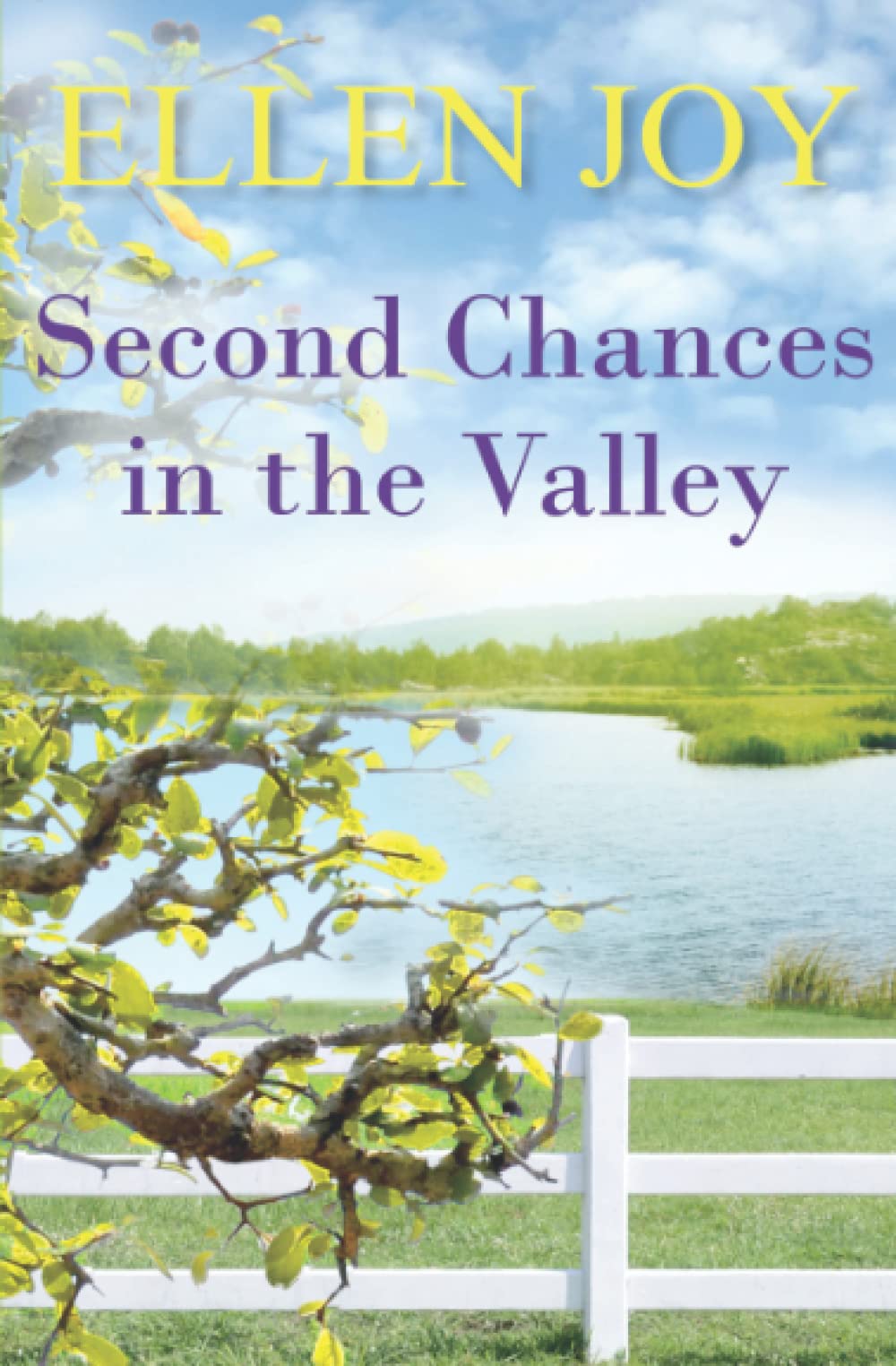 Second Chances in the Valley (Prairie Valley Sisters #4) by Ellen Joy ...