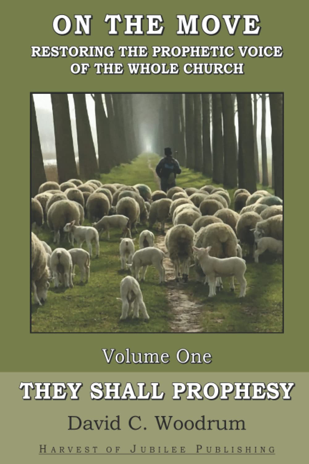 They Shall Prophesy by David C. Woodrum | Goodreads
