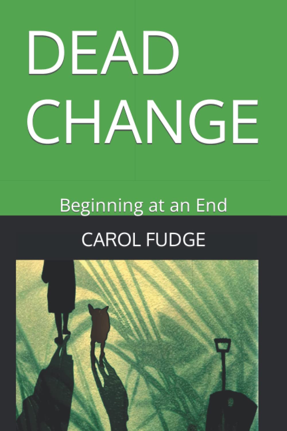 DEAD CHANGE: Beginning at an End by CAROL ANN FUDGE | Goodreads