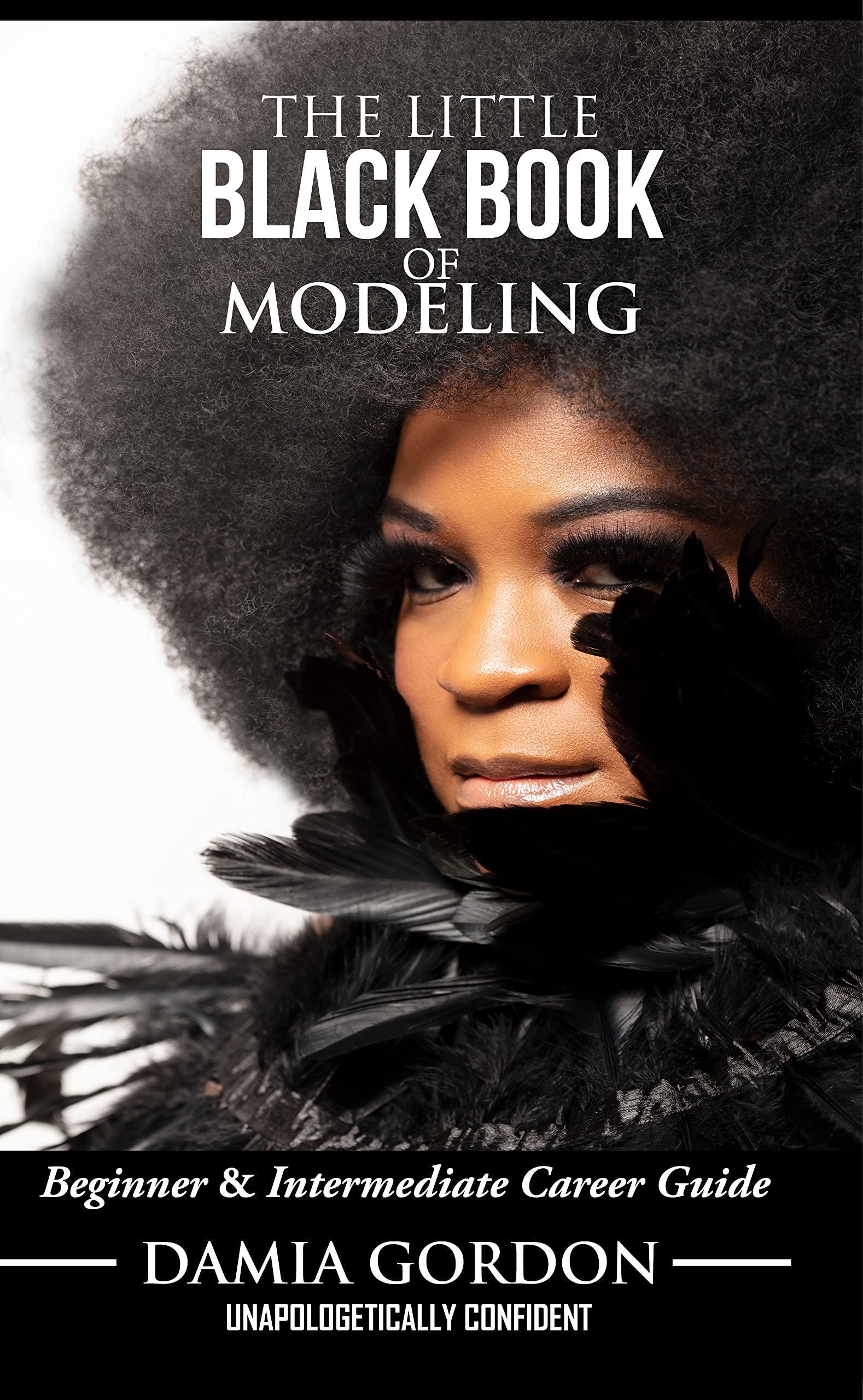 The Little Black Book of Modeling : Beginners & Intermediate Career ...