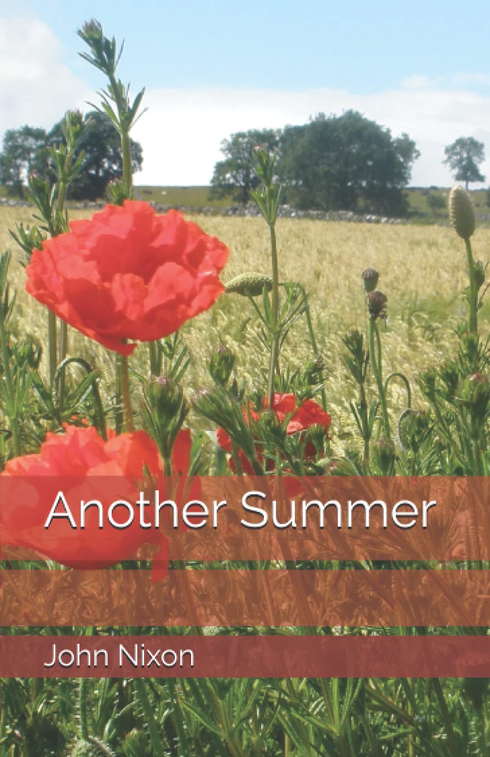 Another Summer (A Madeleine Porter Mystery) by John Nixon | Goodreads