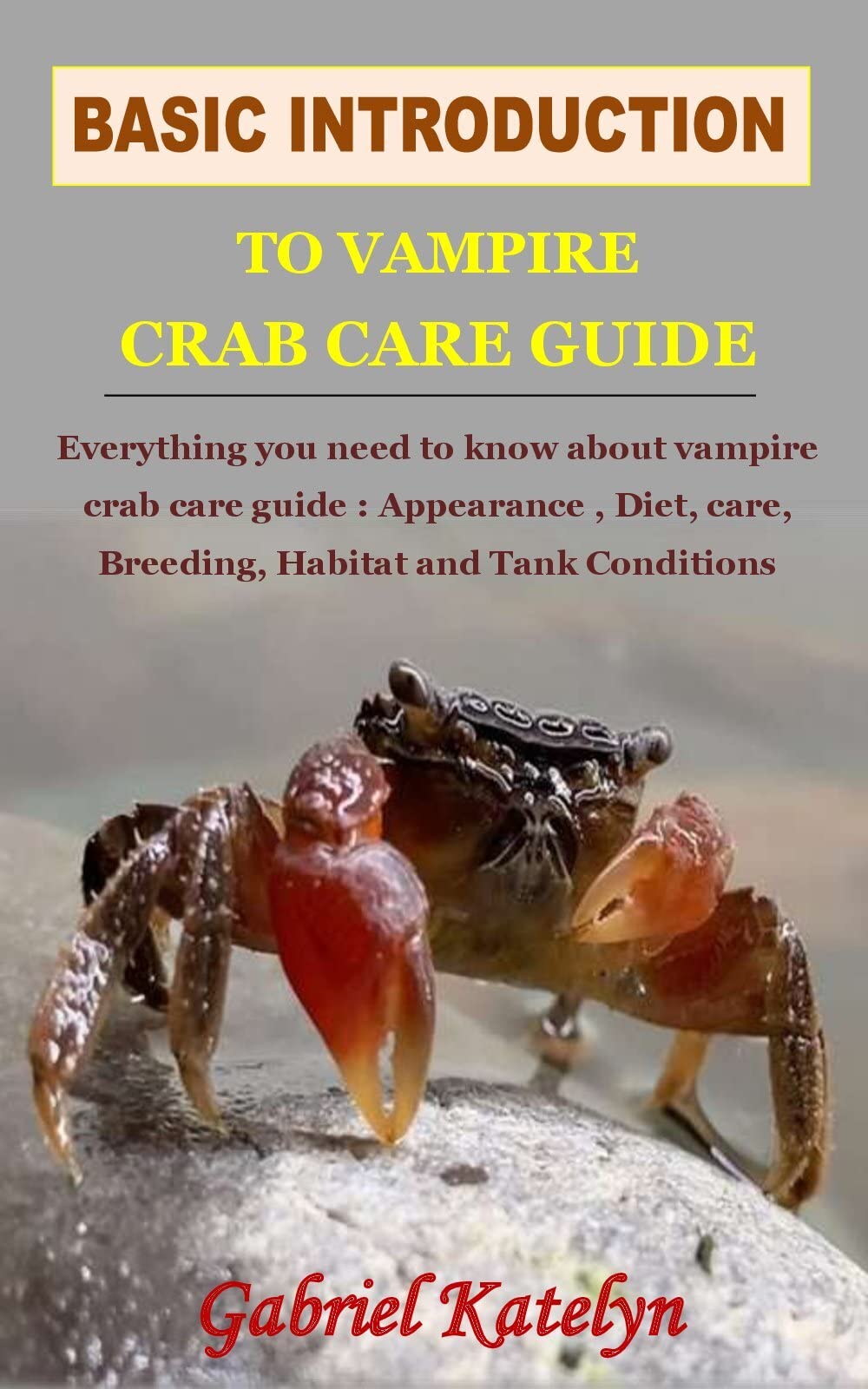 BASIC INTRODUCTION TO VAMPIRE CRAB CARE GUIDE: Everything you need to ...