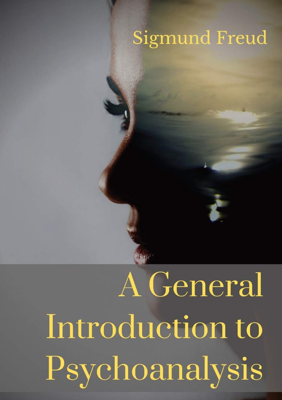 A General Introduction to Psychoanalysis: A set of lectures given by ...
