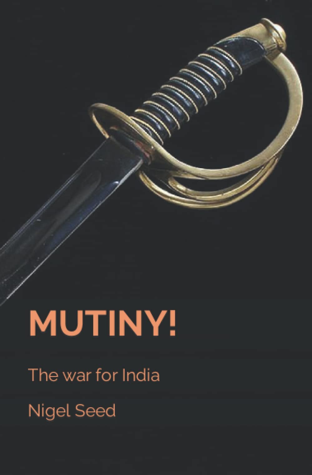 Mutiny!: Fighting for India (The Thomas Mason Trilogy) by Nigel Seed ...